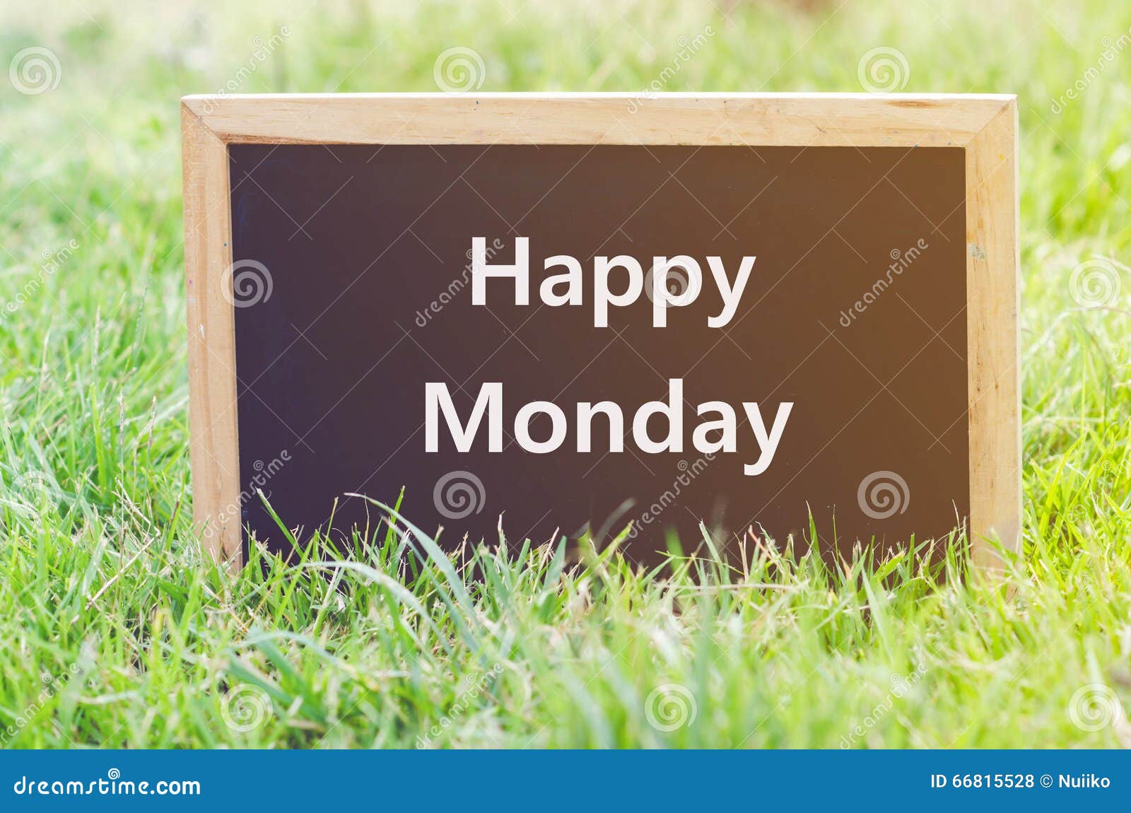 Happy Monday Note on Blackboard Stock Photo - Image of grass, education ...