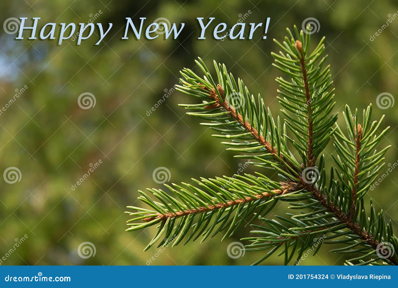 2021, Happy New Year. Branch of a Christmas Tree on a Green Background ...