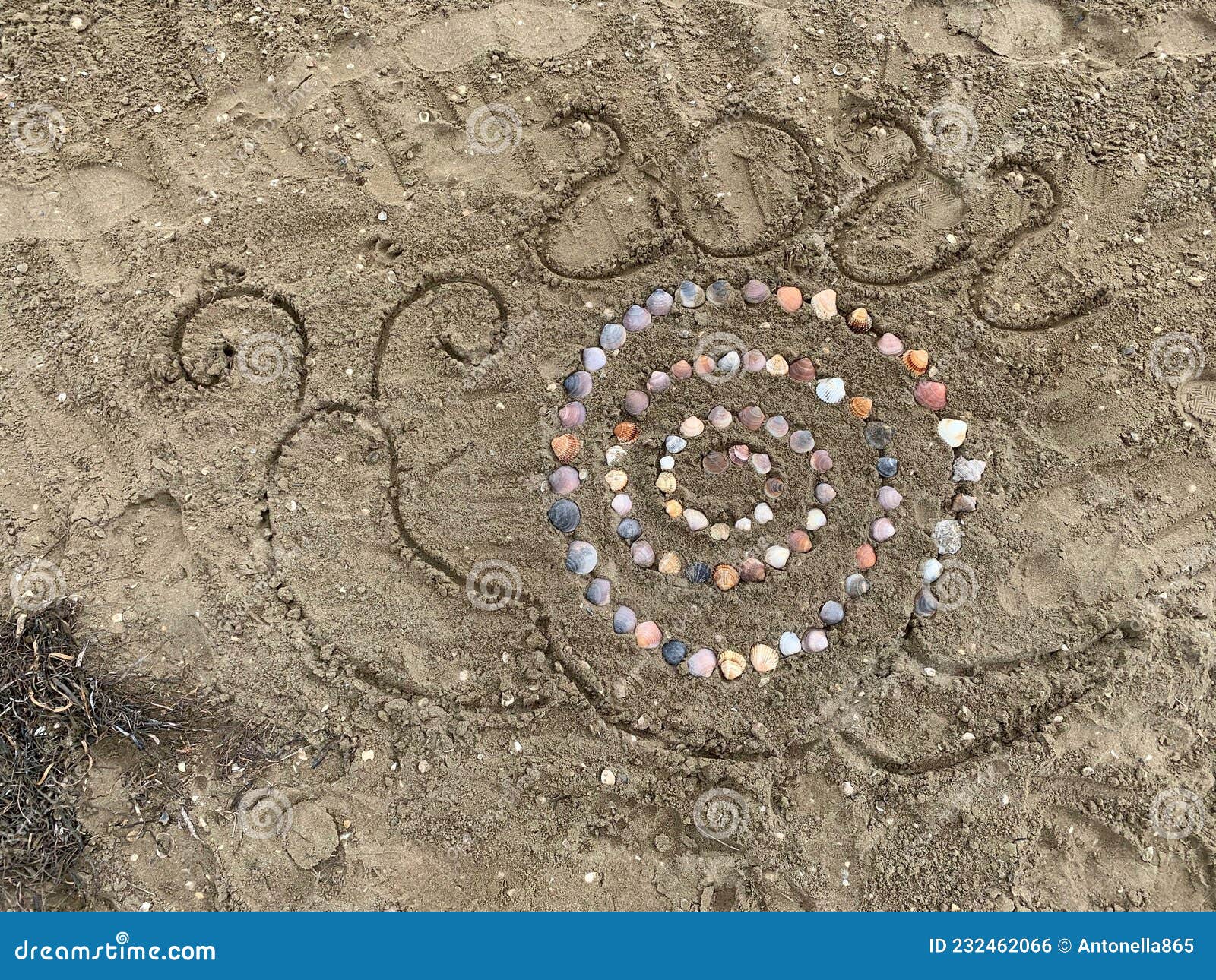 Happy New Year 2022, Snail with Shells in the Sand Stock Photo - Image ...