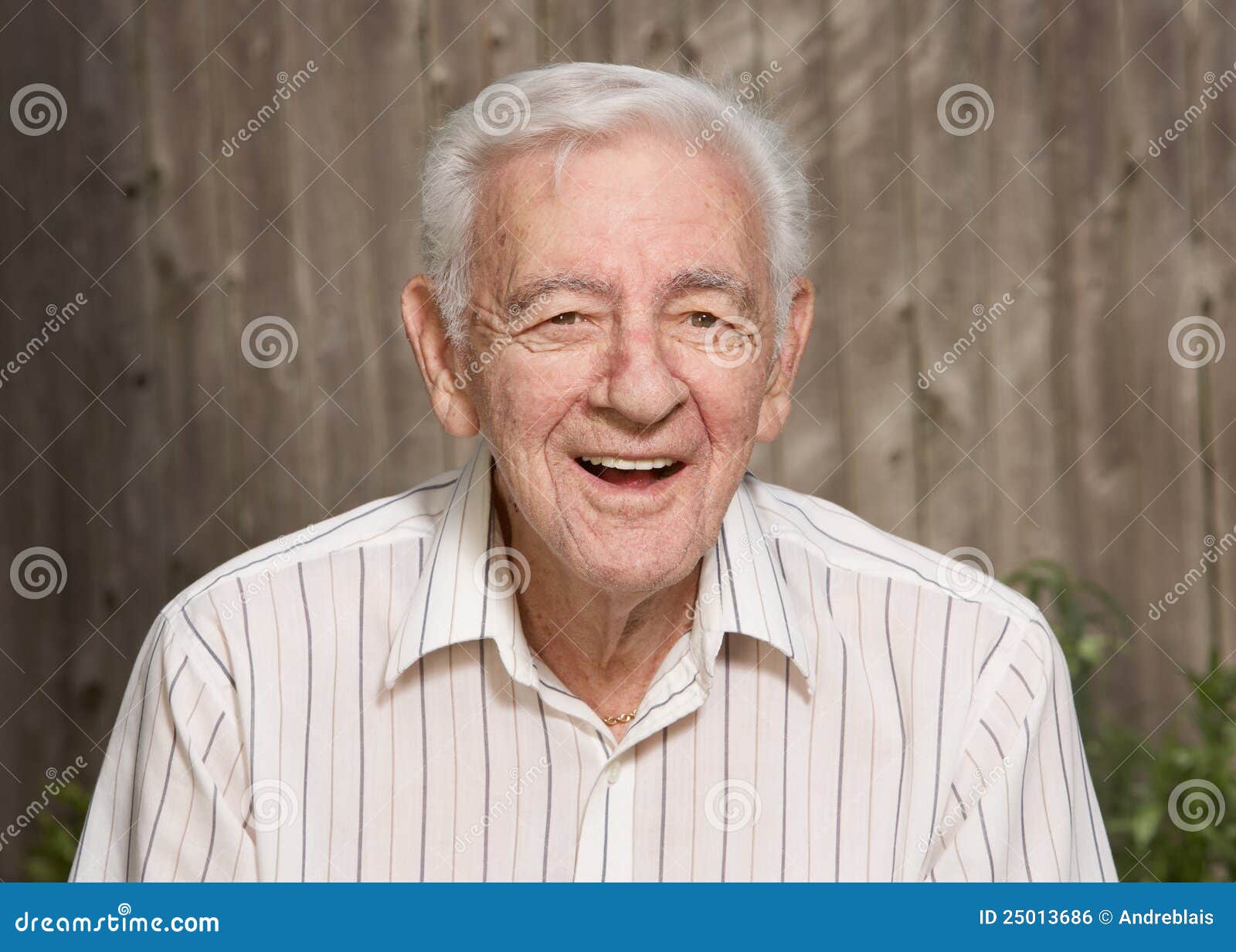 Happy old man stock photo. Image of handsome, businessman - 25013686