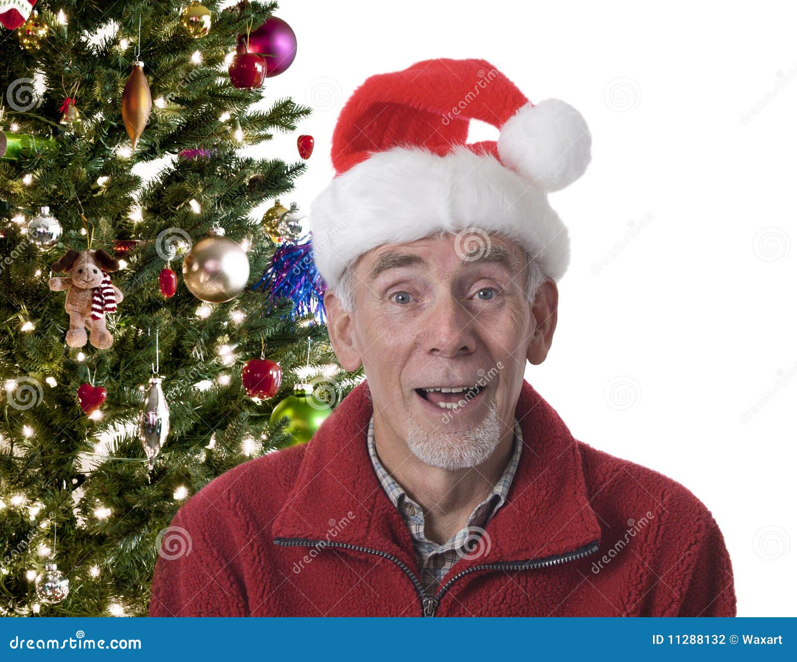 Happy old man in Santa Hat stock photo. Image of decorations - 11288132