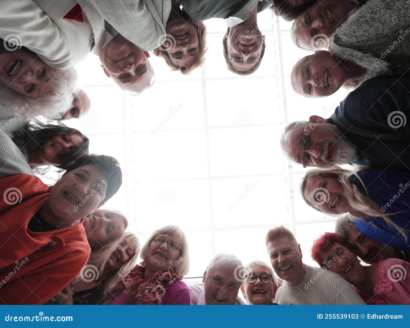 Happy People Looking Down at Camera Stock Image - Image of caucasian, casual: 255539103