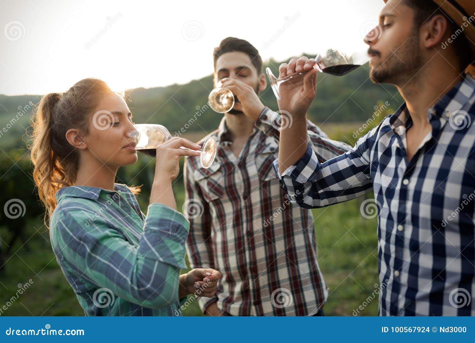 People Tasting Wine in Vineyard Stock Photo - Image of people ...