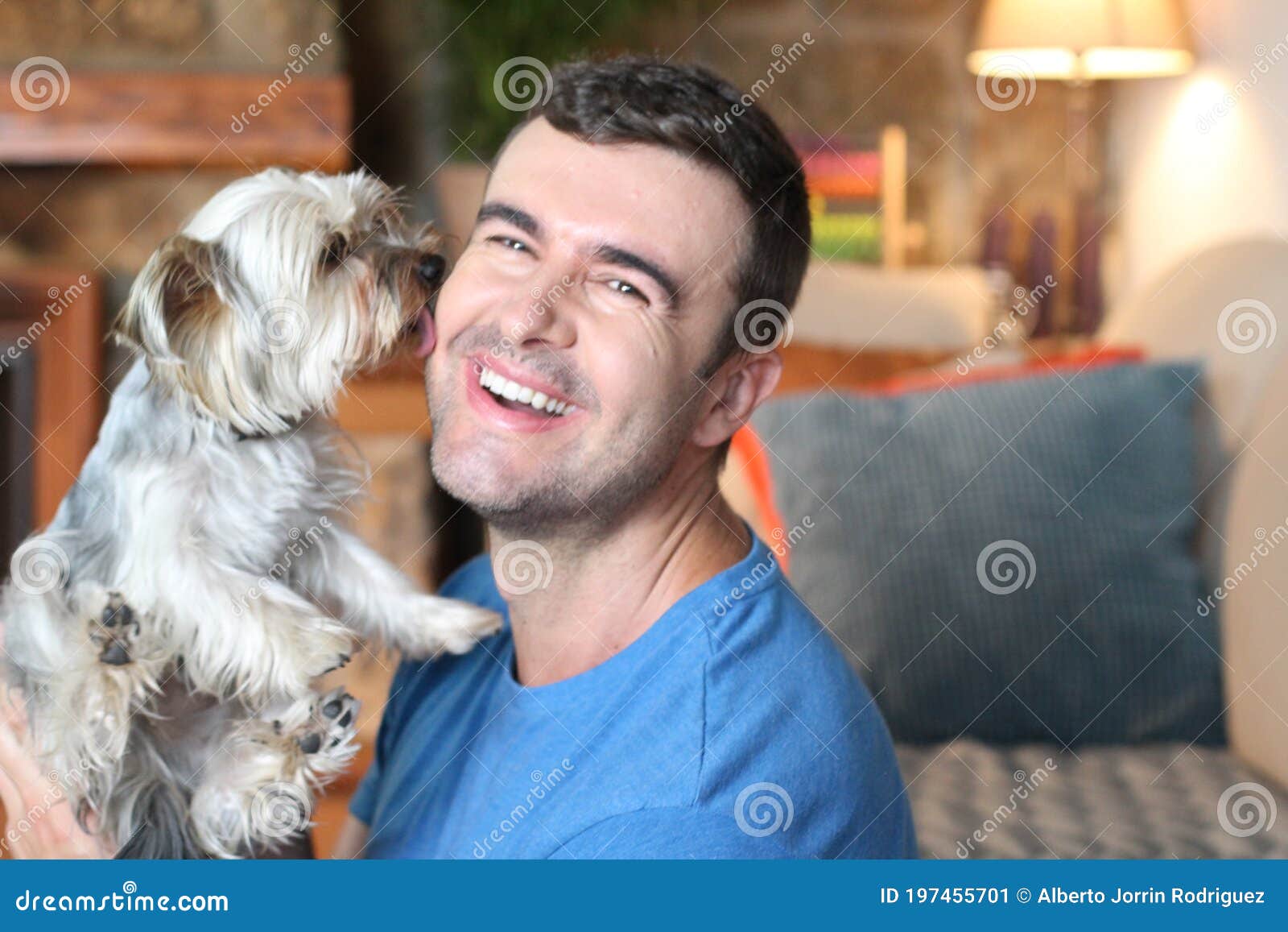 Happy Pet Owner Holding Small Dog Stock Image - Image of dedication ...
