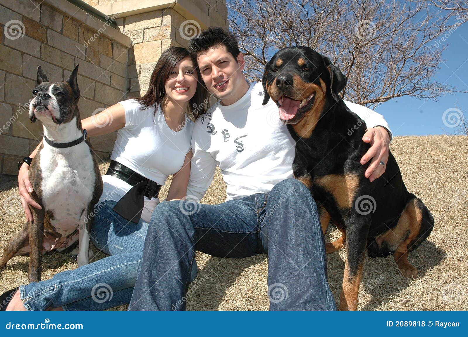 Happy Pets stock photo. Image of dogs, animals, family - 2089818
