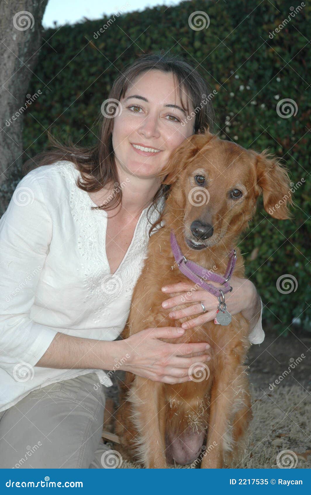 Happy Pets stock image. Image of canine, pretty, retriever - 2217535