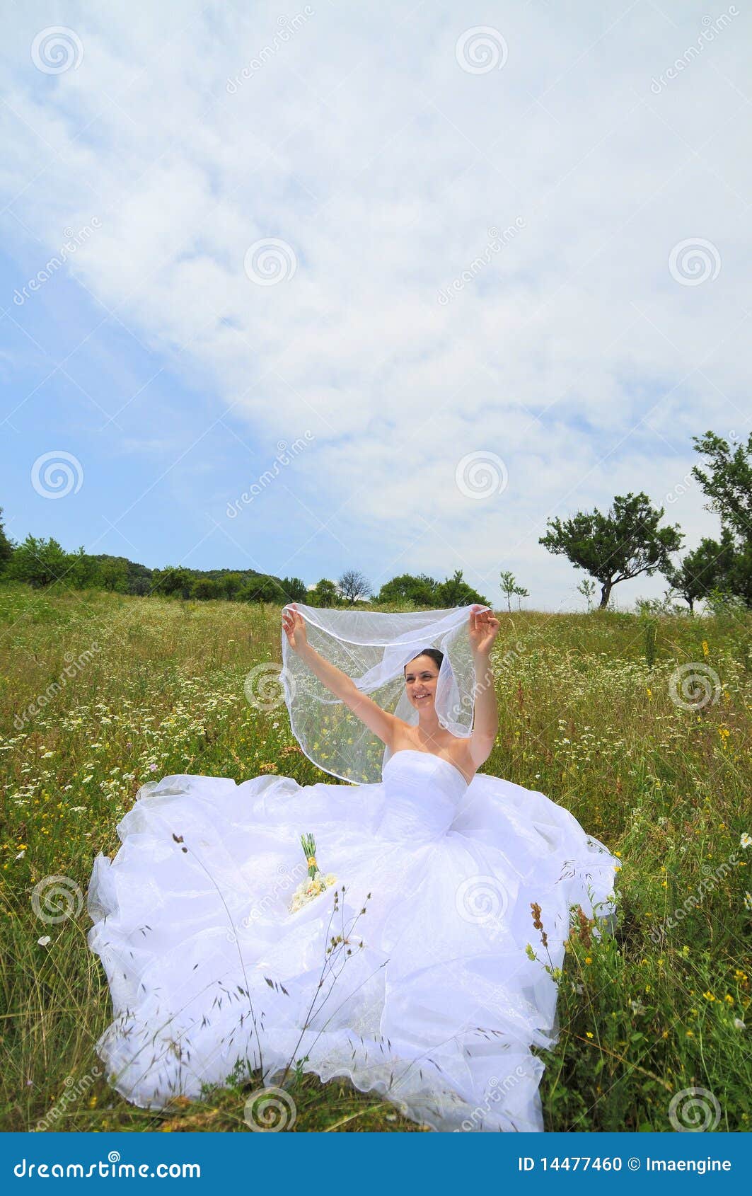 Happy playful bride stock photo. Image of brunette, laughing - 14477460