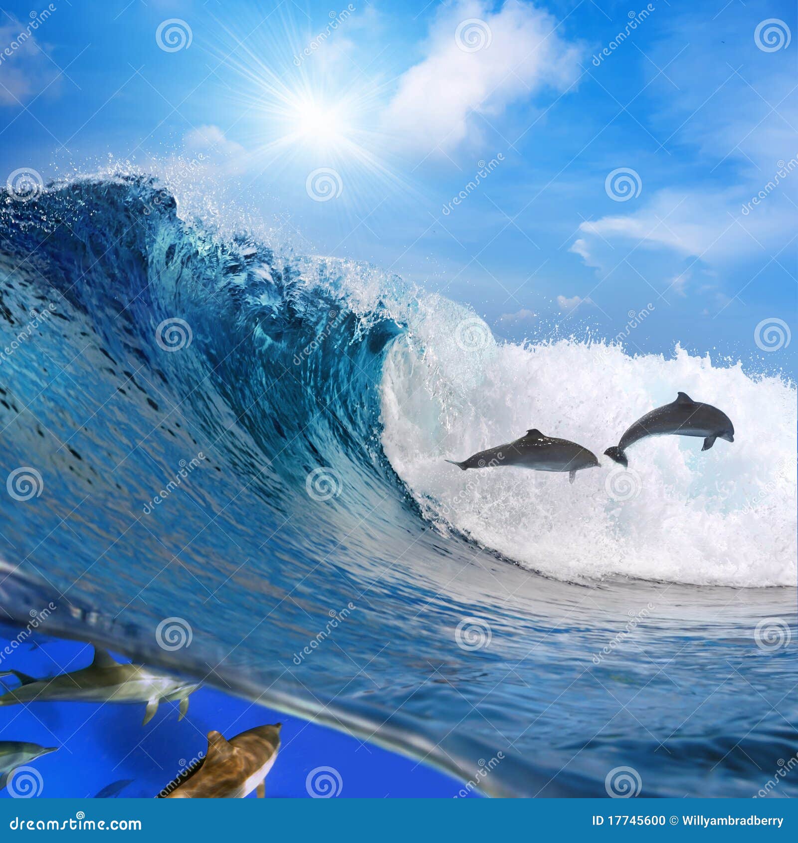 Dolphins Jumping Out Of A Wave