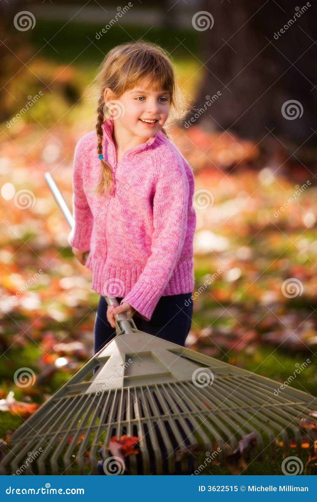 Happy Raking Leaves stock image. Image of leaves, cool - 3622515