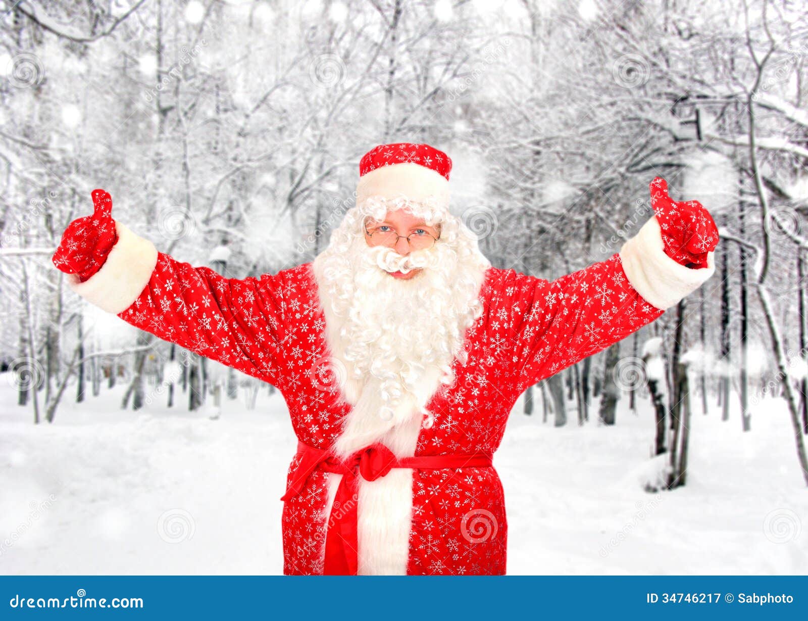 Happy Santa Claus in Forest Stock Image - Image of motivation, glasses ...