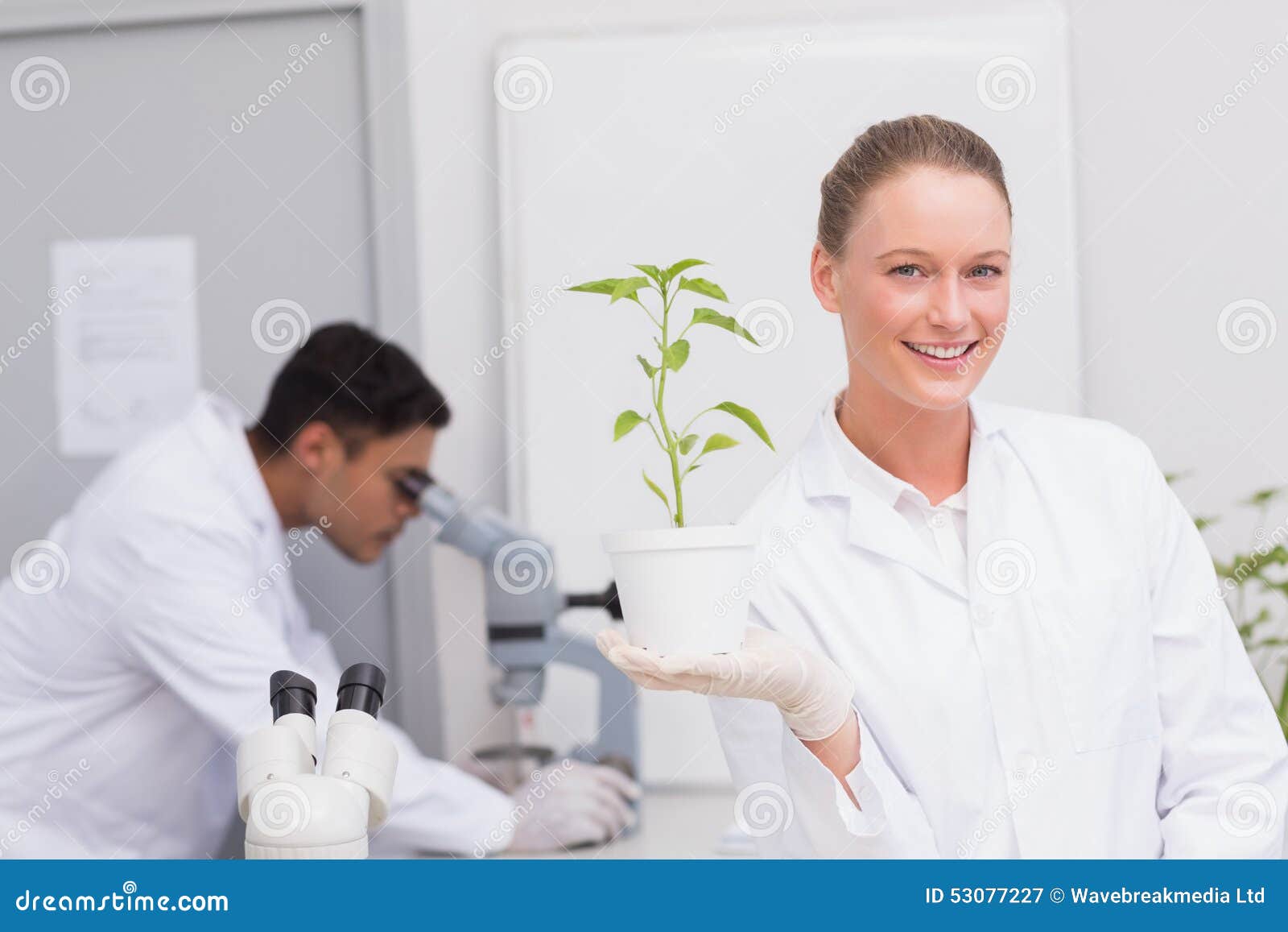 Happy Scientist Drinking Coffee Over Chemical Structure Of Caffeine ...