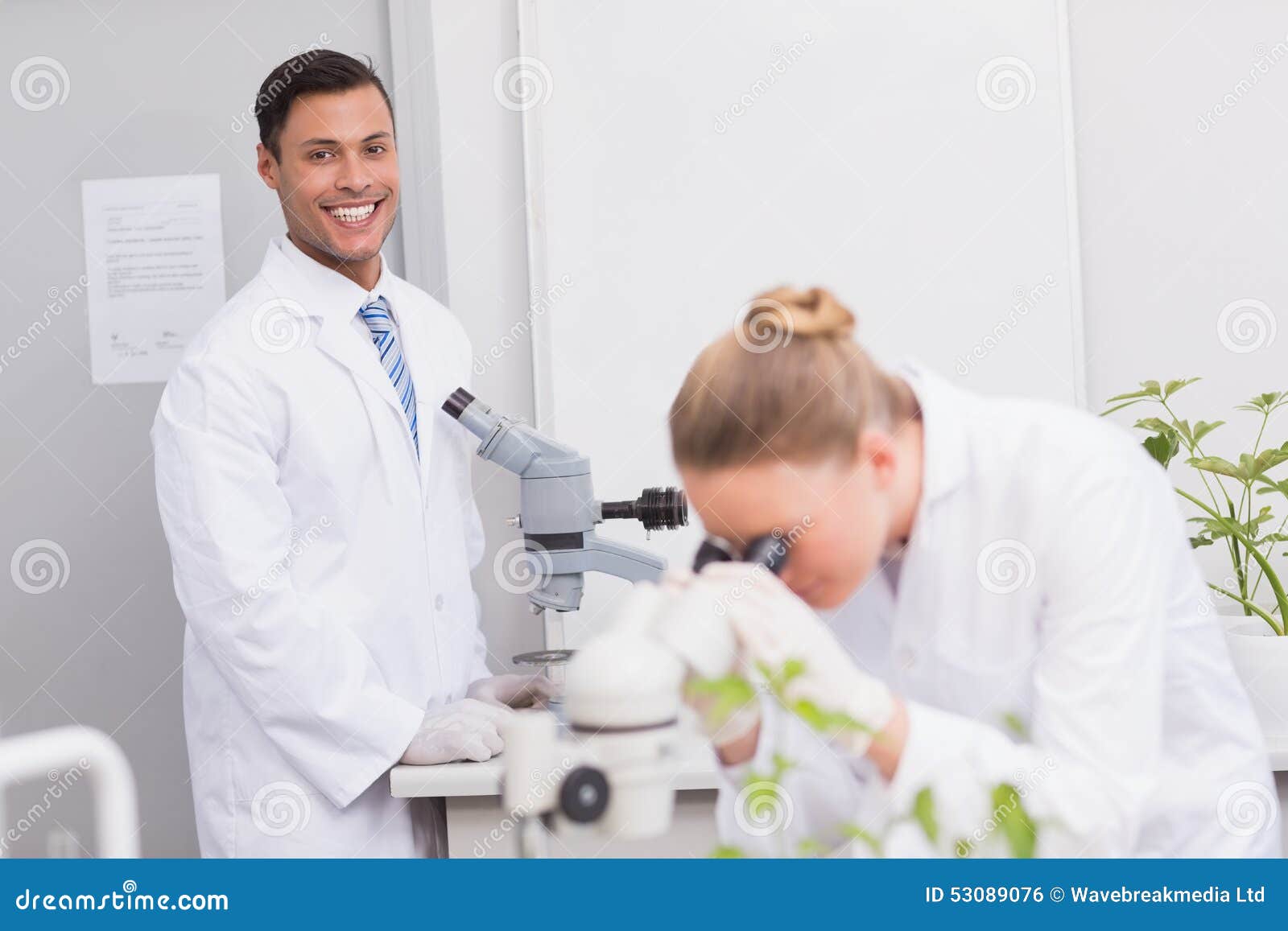 Happy Scientist Smiling at Camera Using Microscope Stock Photo - Image ...
