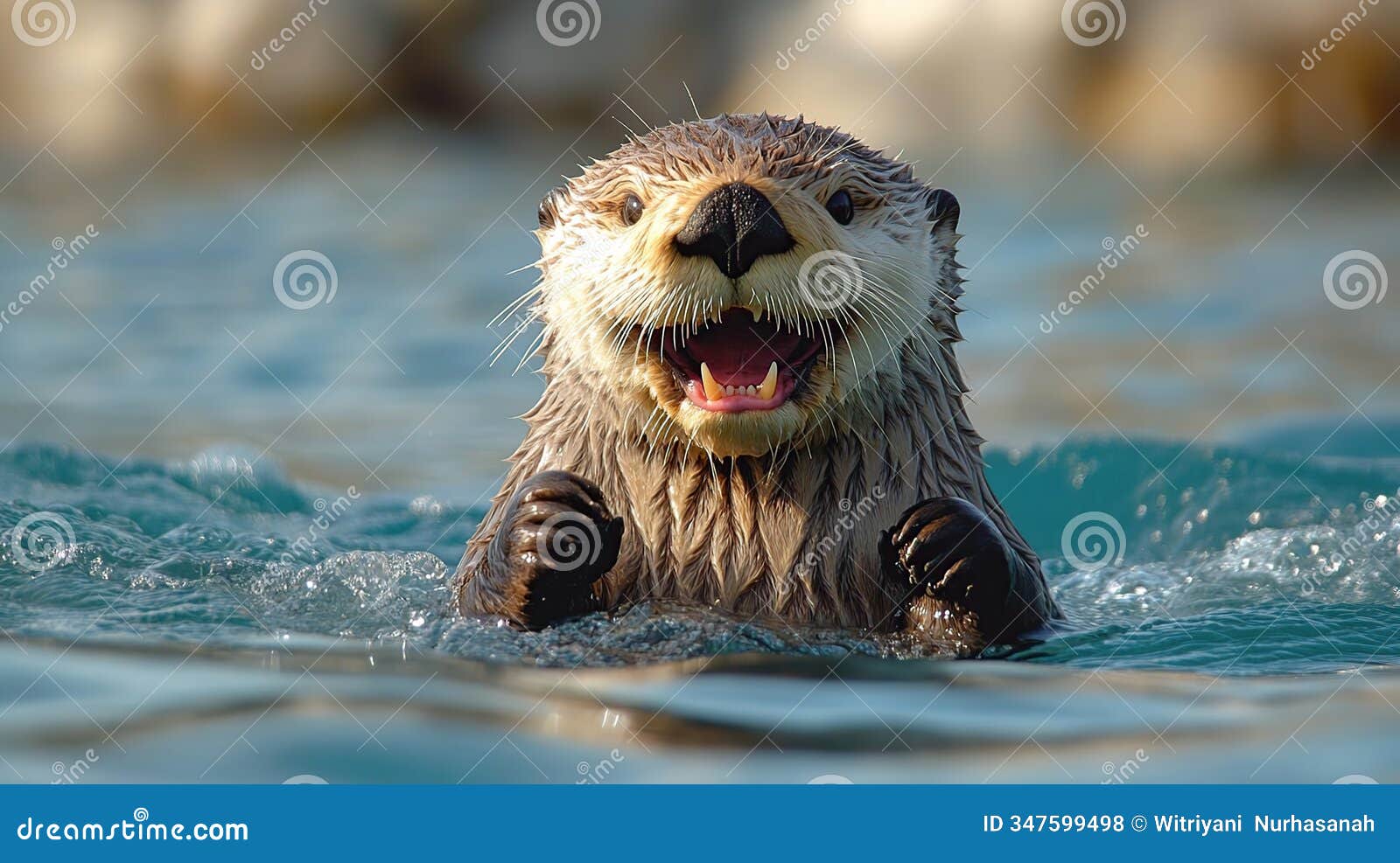 Happy Sea Otter Floating in Ocean Water, Smiling Stock Illustration ...