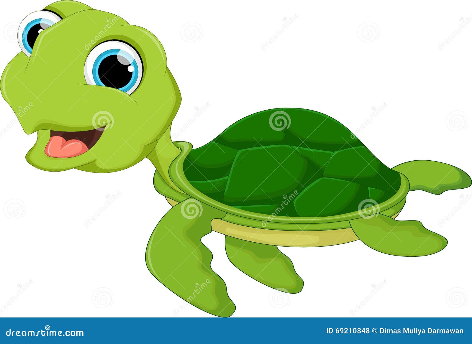 Excited Turtle