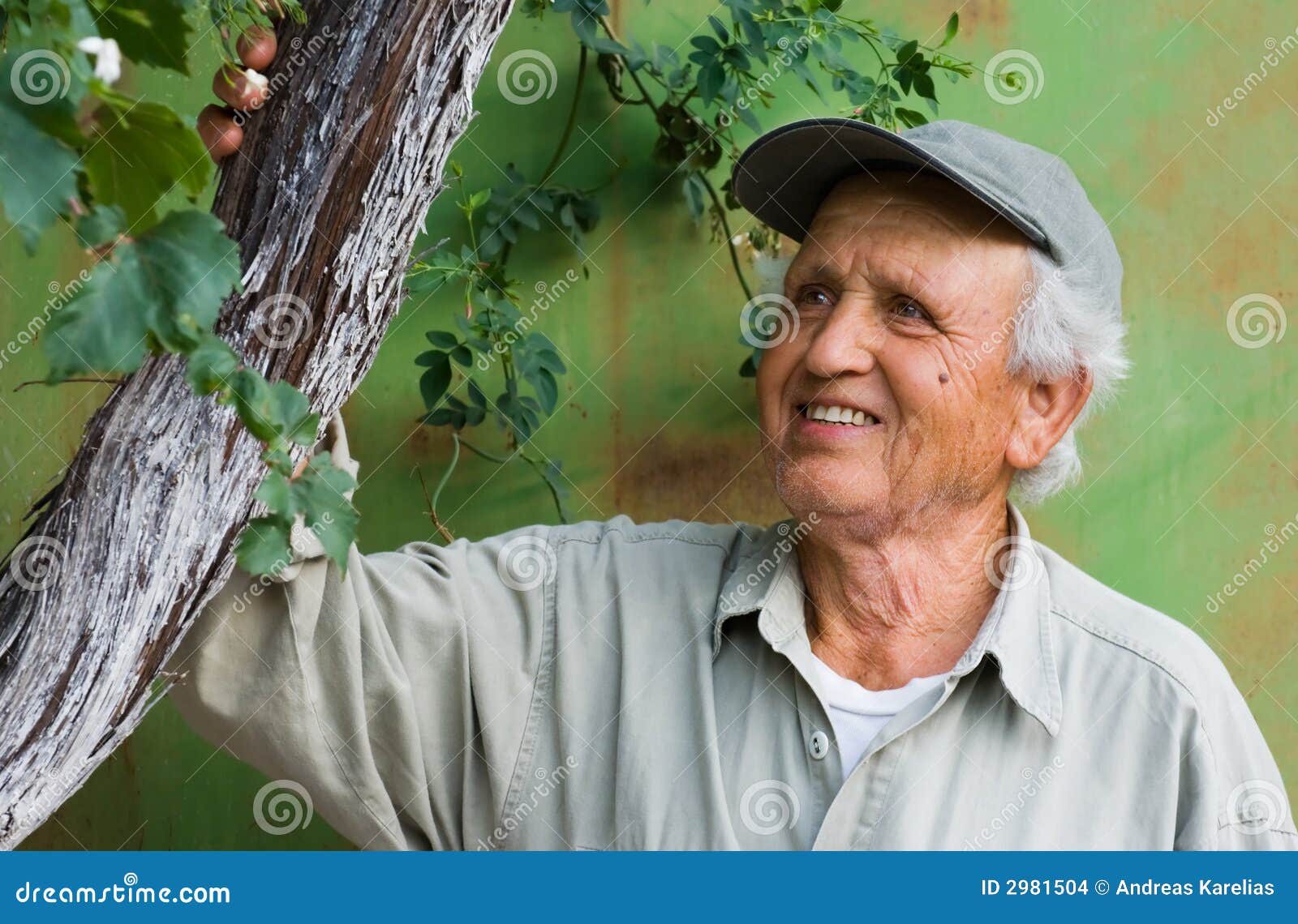 Happy Senior Looking at Tree Stock Photo - Image of male, security: 2981504