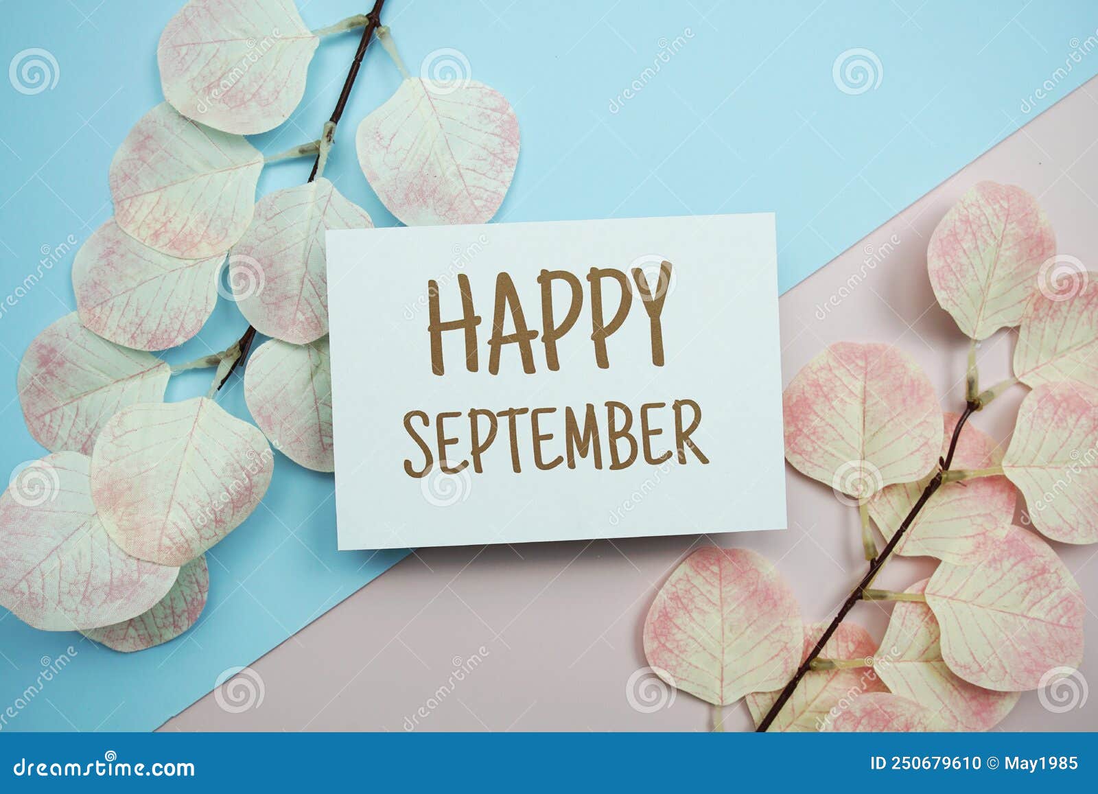 Happy September Text Message with Artificial Leave on Blue and Pink ...