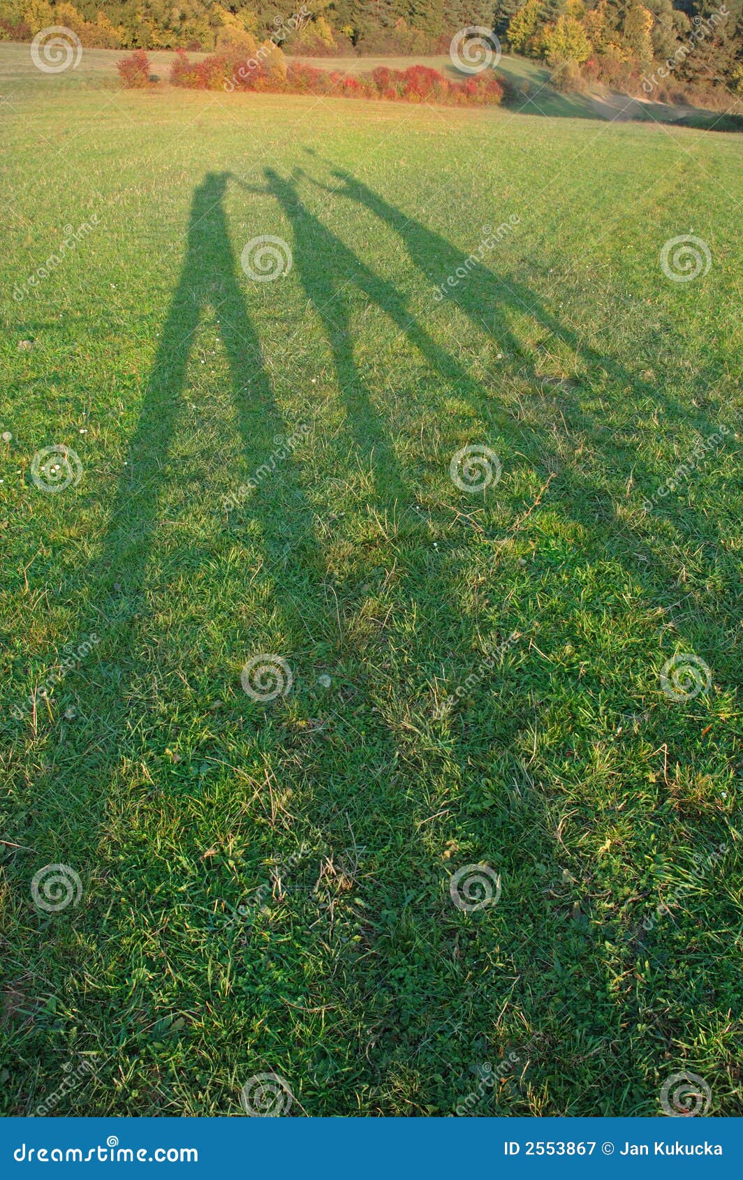 Happy shadows stock image. Image of shadows, meadow, handsup - 2553867