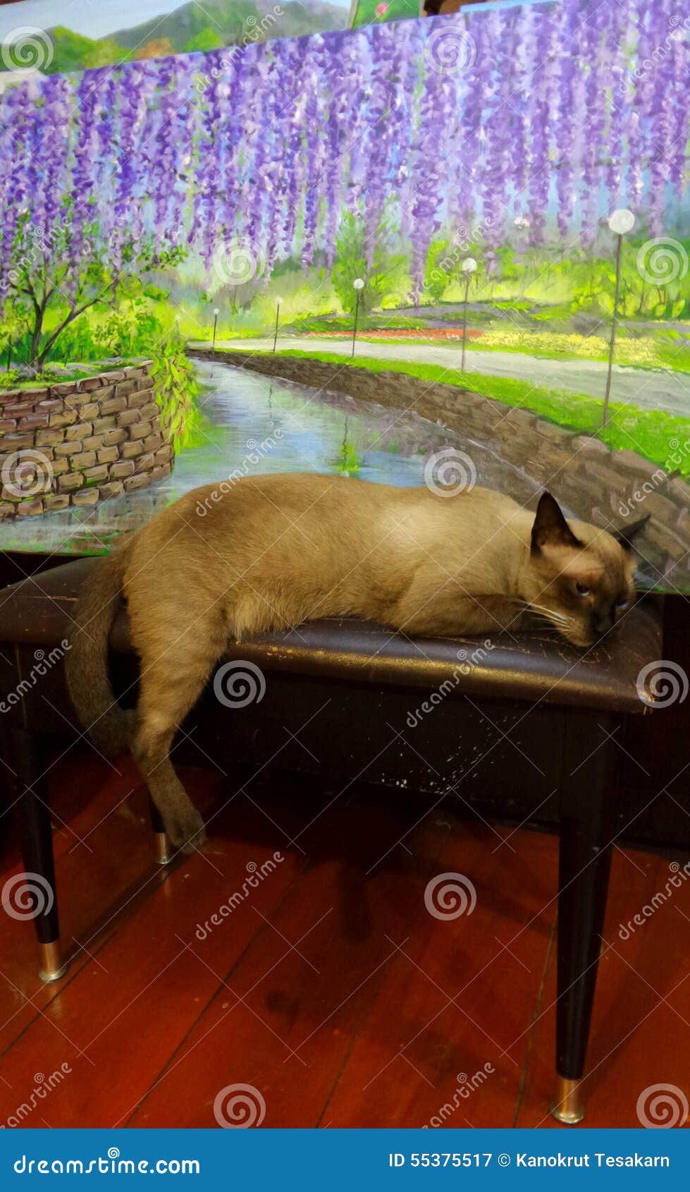 Happy Siamese Cat Falling To Sleep in Front of Wistoria Garden Painting ...