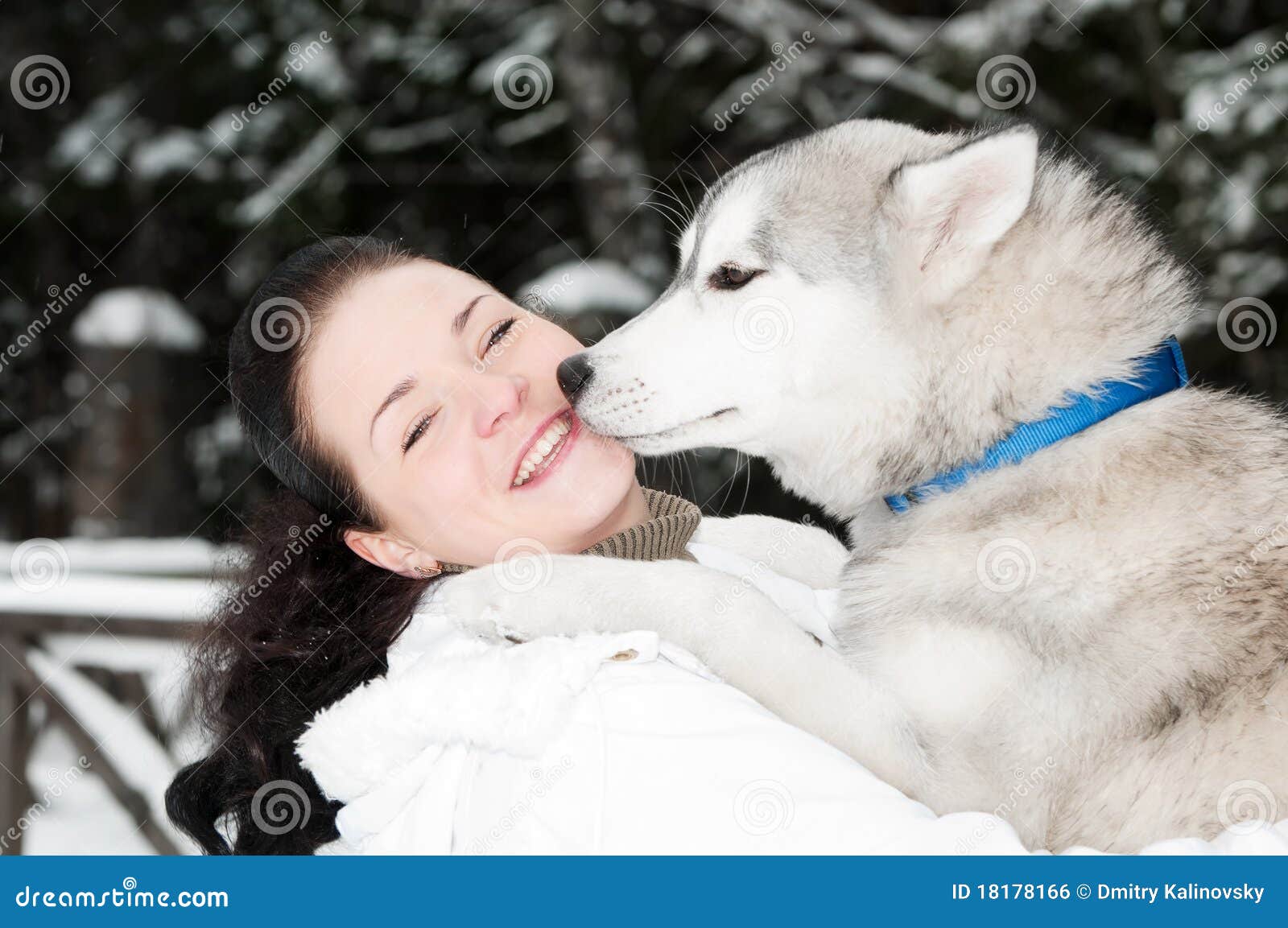 Happy Siberian Husky Owner with Dog Stock Photo - Image of pretty ...