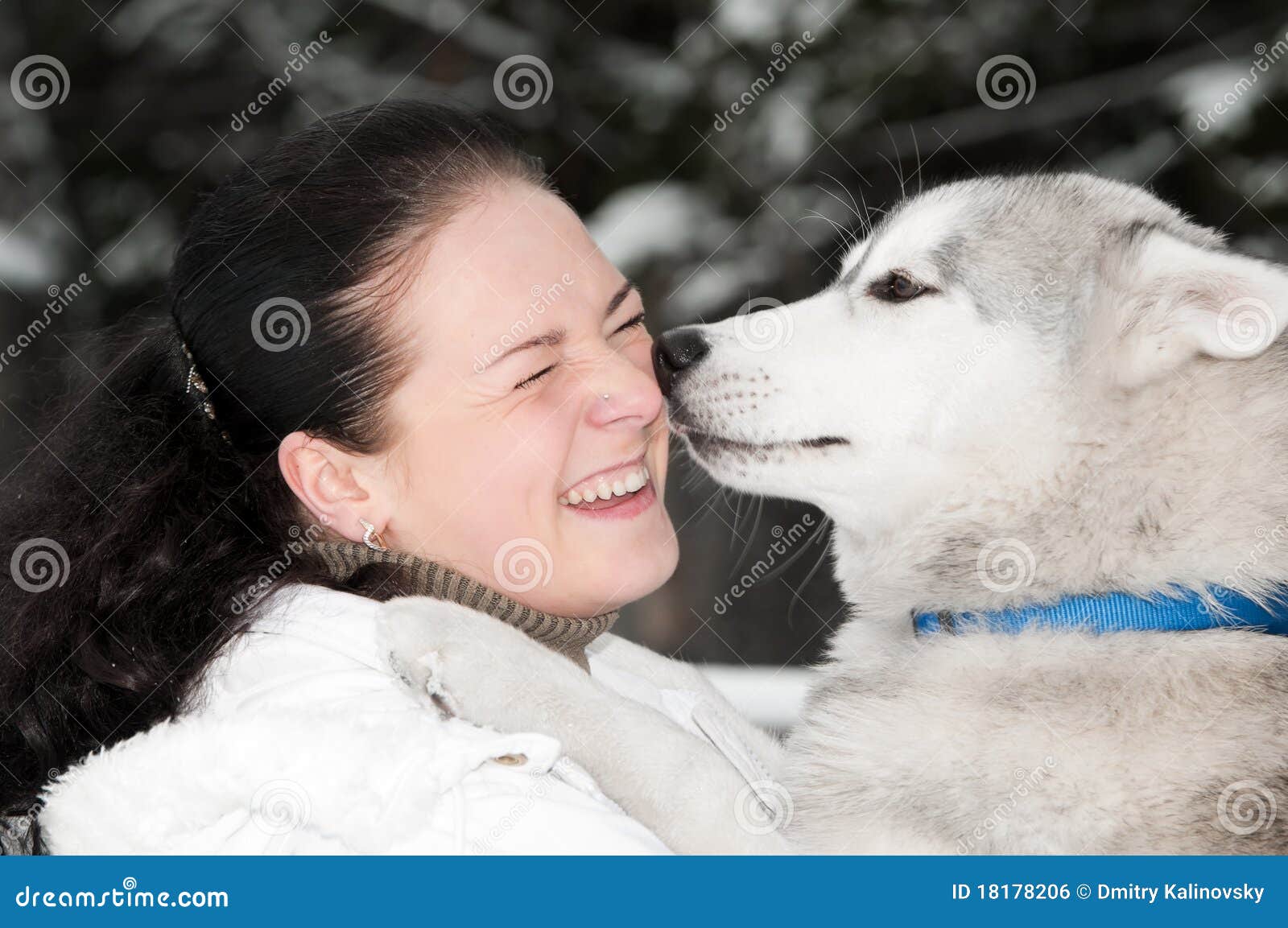 Happy Siberian Husky Owner with Dog Stock Photo - Image of muzzle ...