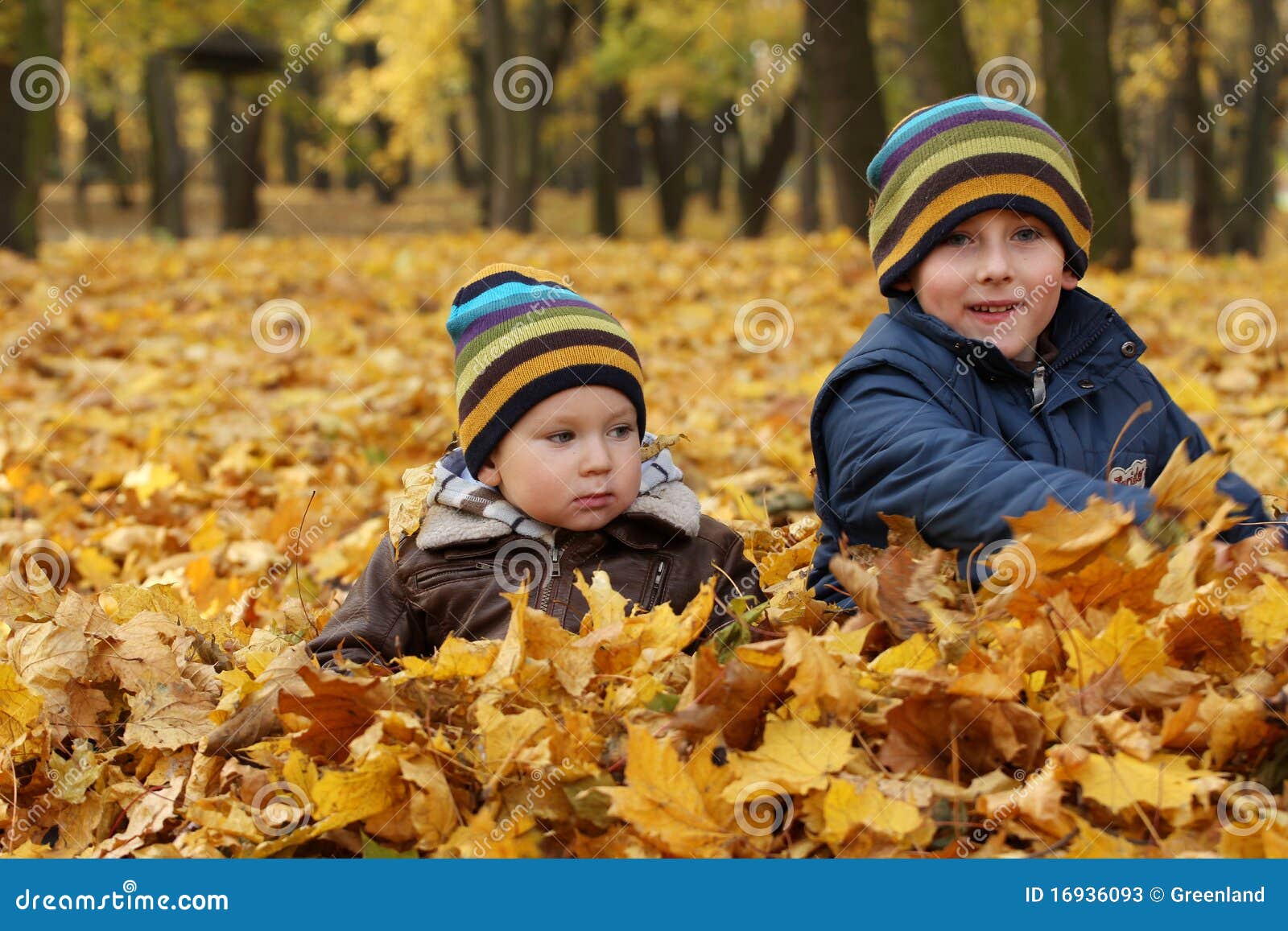 Happy Sibling, Two Brothers in Autumn Leaves Stock Image - Image of ...