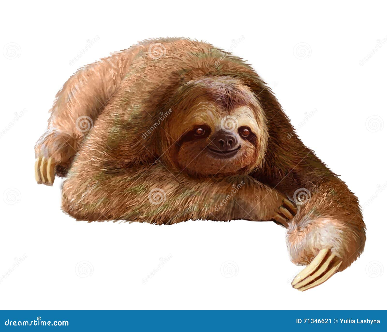 Sloth Resting Stock Illustrations – 122 Sloth Resting Stock ...