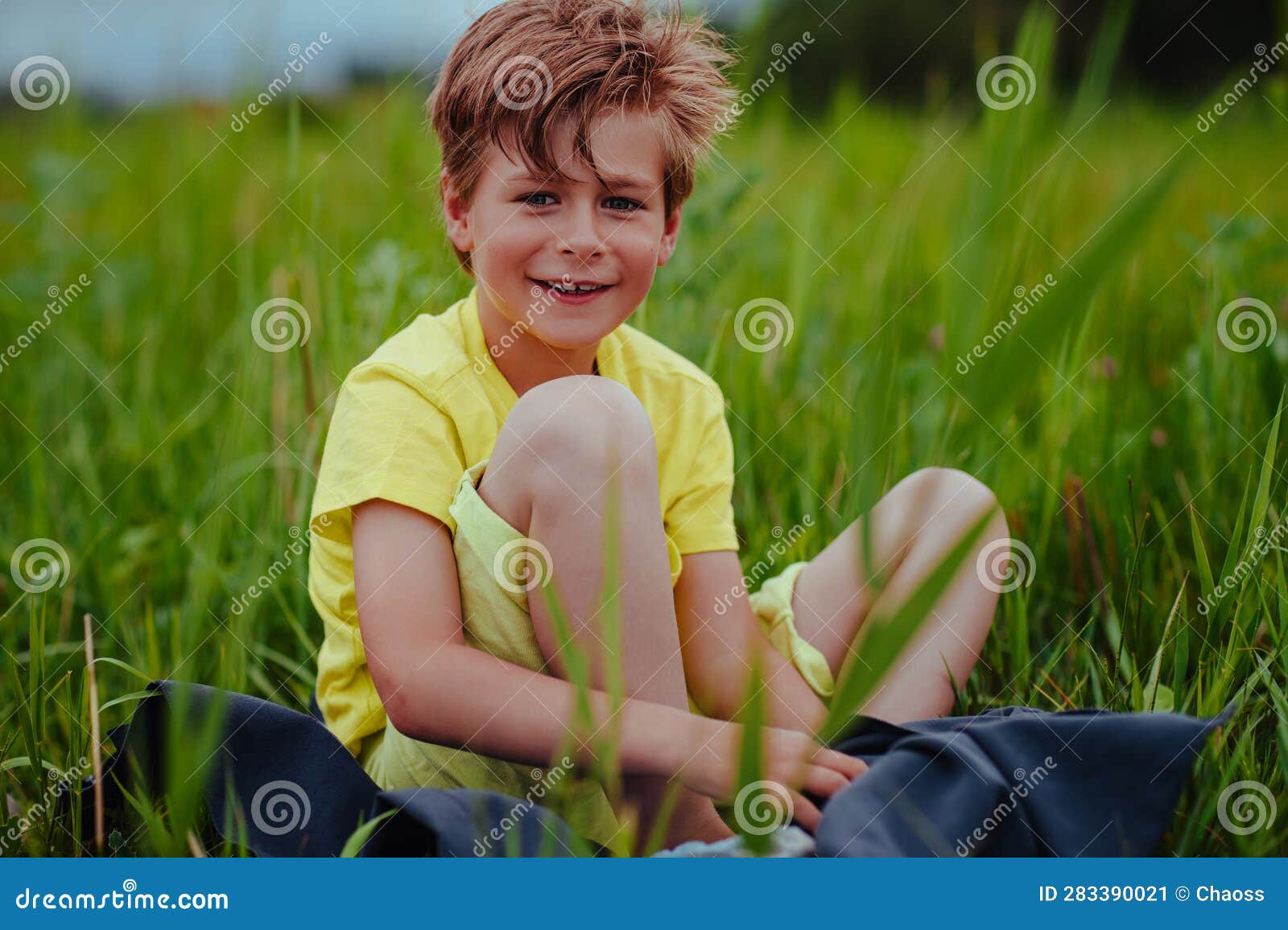 Happy Smiling Boy Sits in the Green Meadow Stock Image - Image of ...