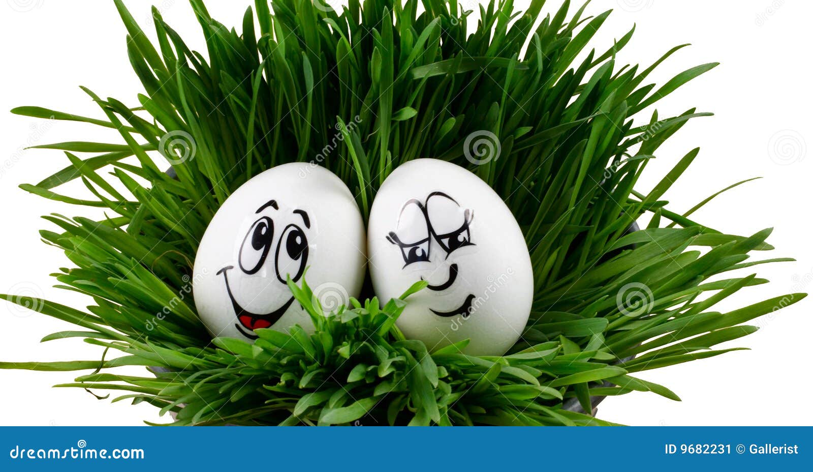 Happy Smiling Easter Eggs on a White Background Stock Image - Image of ...