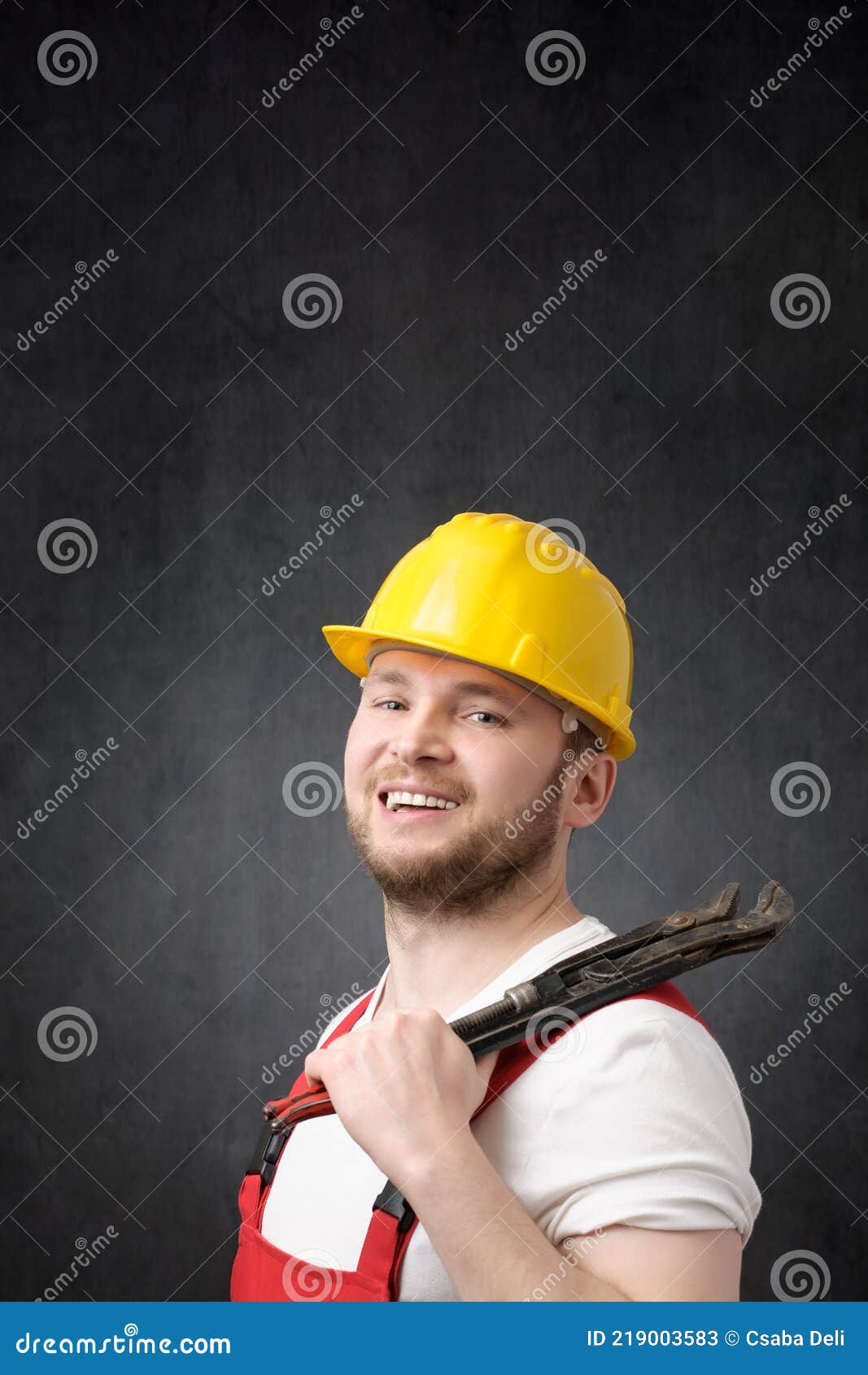 Portrait of a Happy, Smiling Plumber Stock Image - Image of smile ...