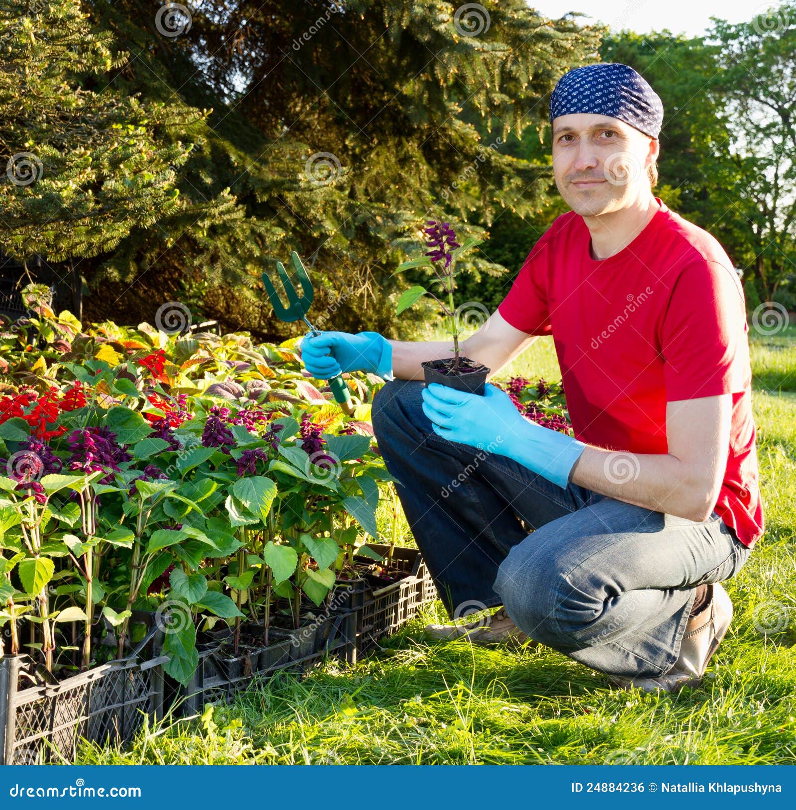 Happy Smiling Young Man Gardening Stock Photo - Image of flowers ...