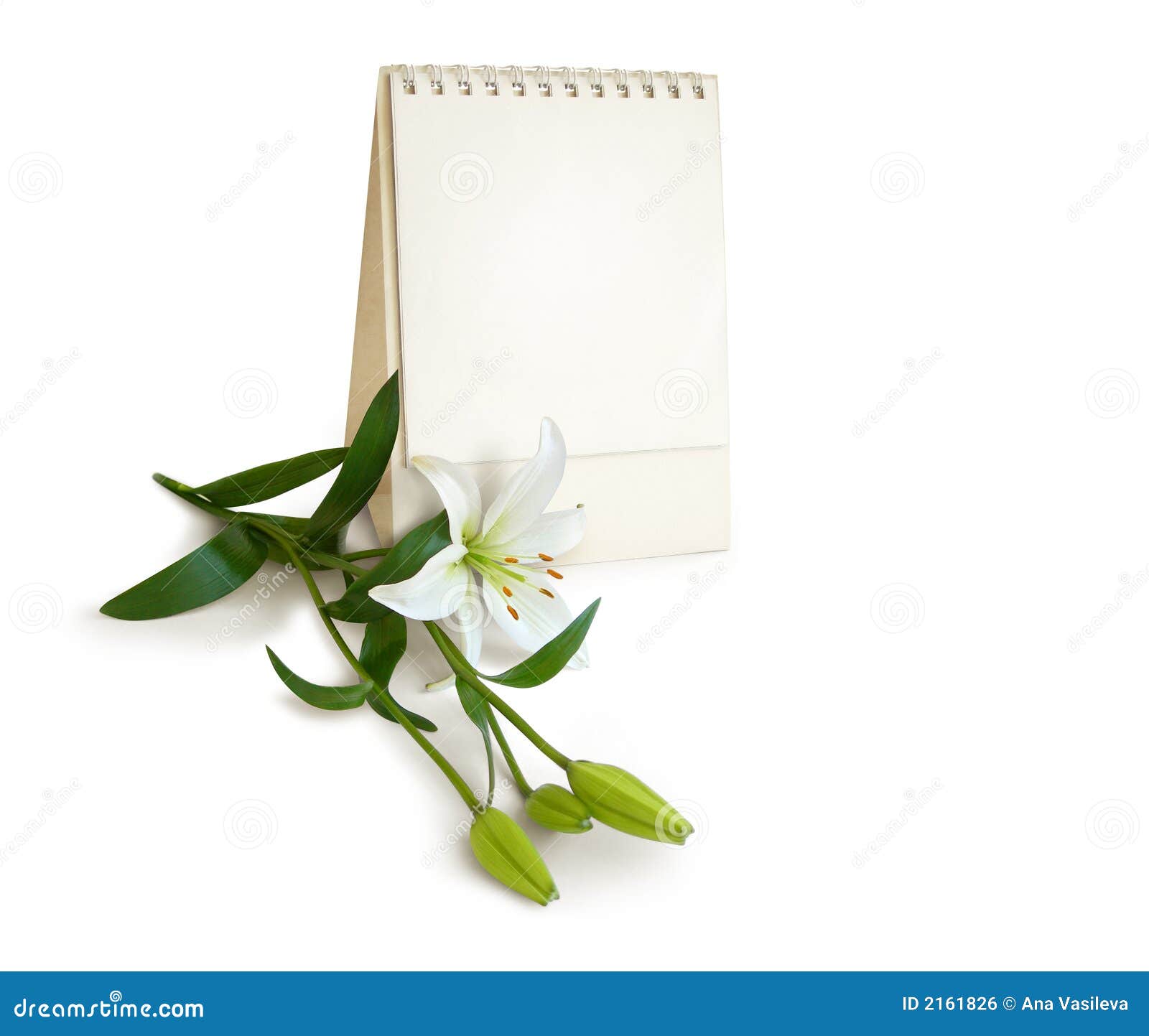 Happy Special Day, My Love. Stock Photo - Image of gift, greeting: 2161826