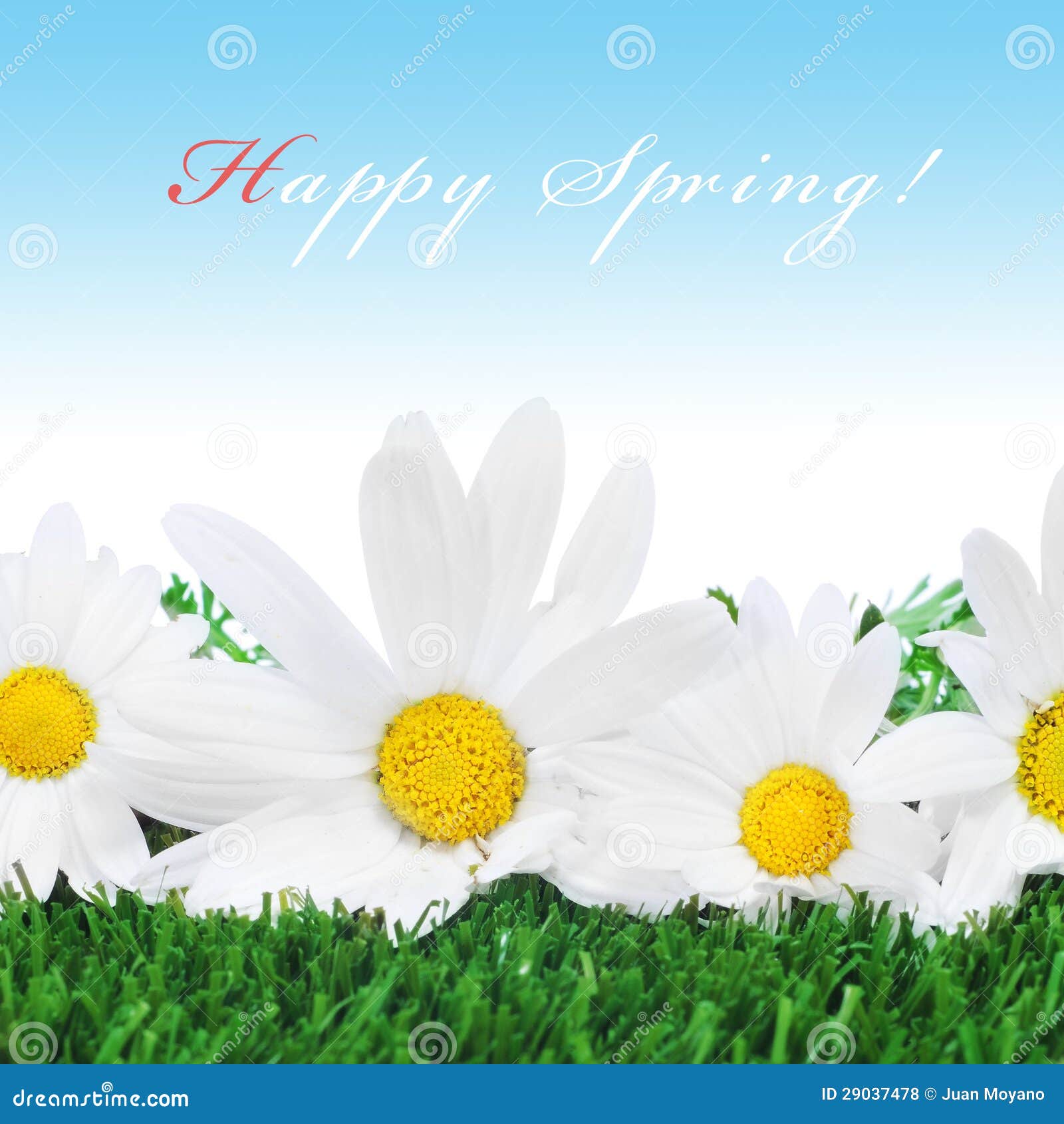 Happy spring stock photo. Image of natural, garden, colorful - 29037478