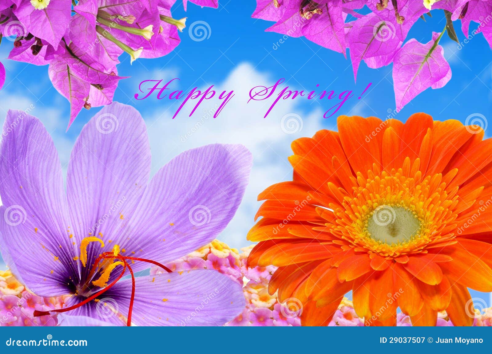 Happy spring stock image. Image of flora, card, concept - 29037507