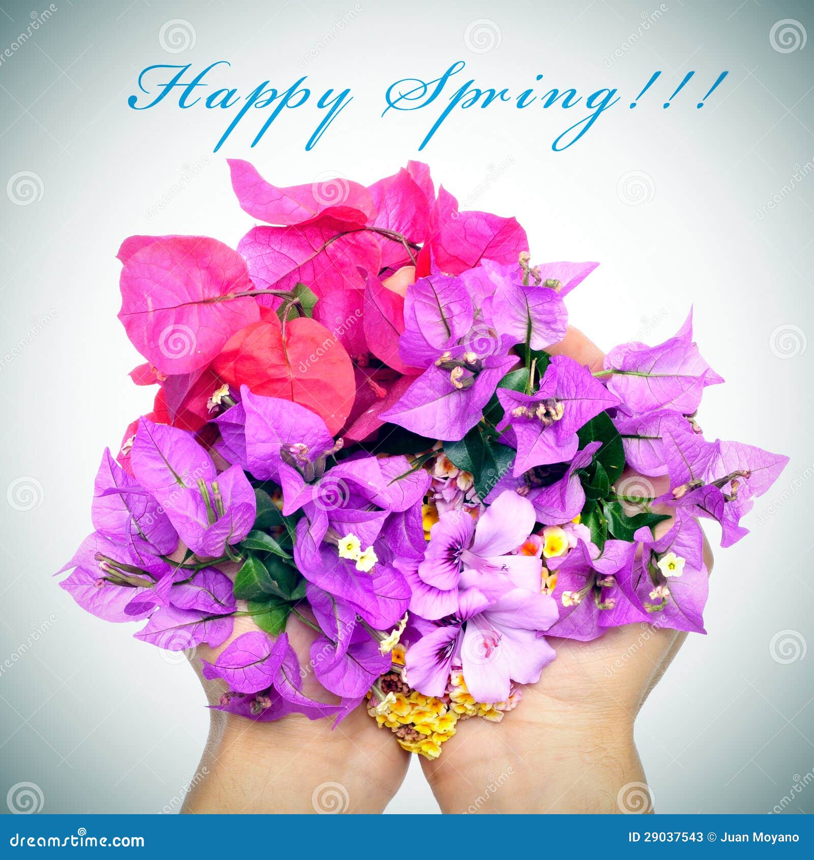 Happy spring stock image. Image of card, decorative, colors - 29037543