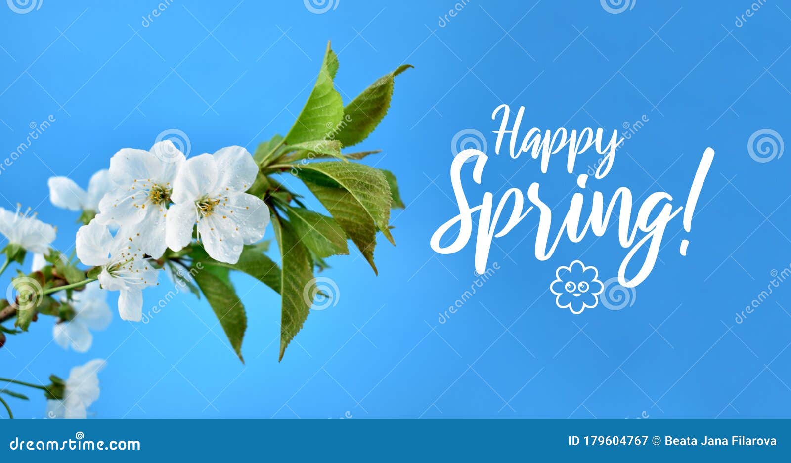 Happy Spring Greeting Card with Fresh Cherry Blossoms Stock Image ...