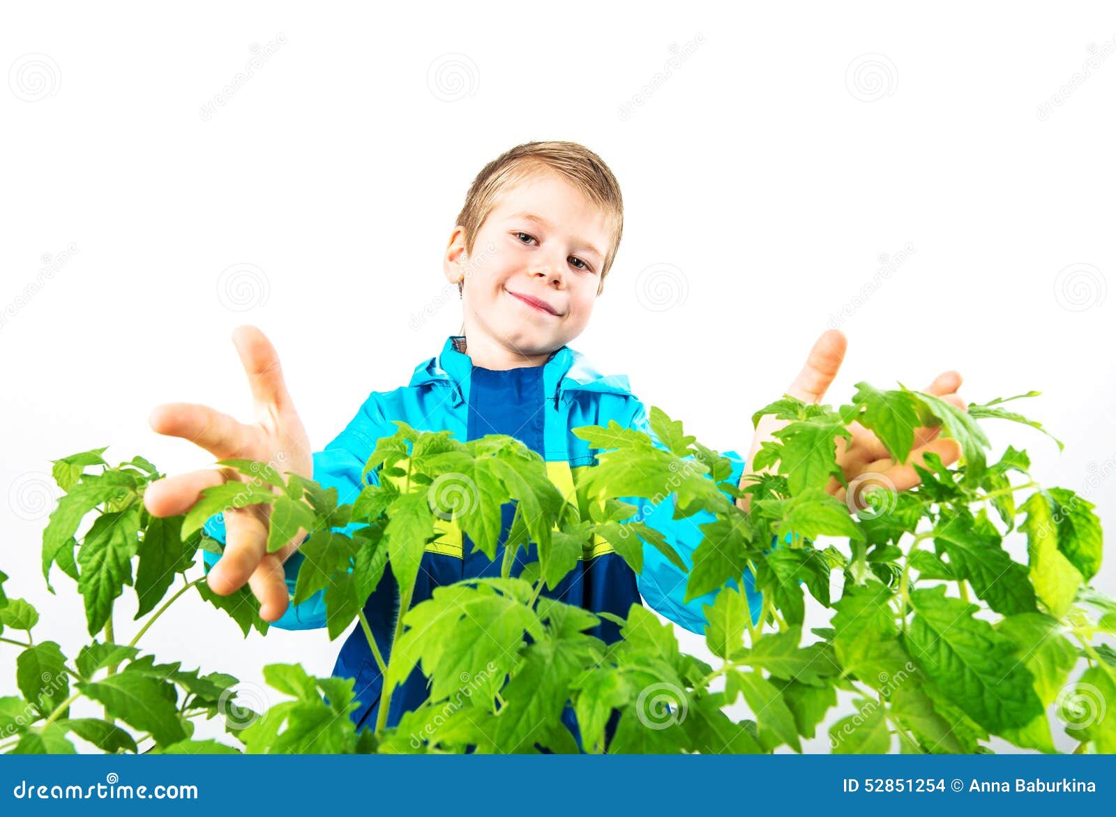 Happy spring gardening boy stock photo. Image of life - 52851254