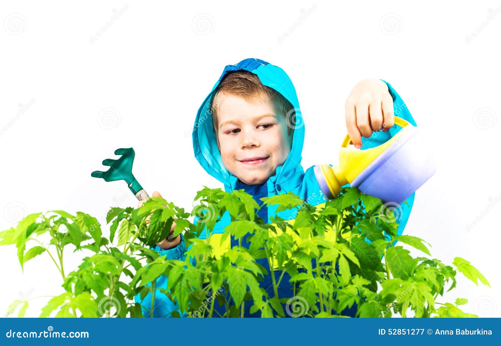 Happy spring gardening boy stock image. Image of education - 52851277