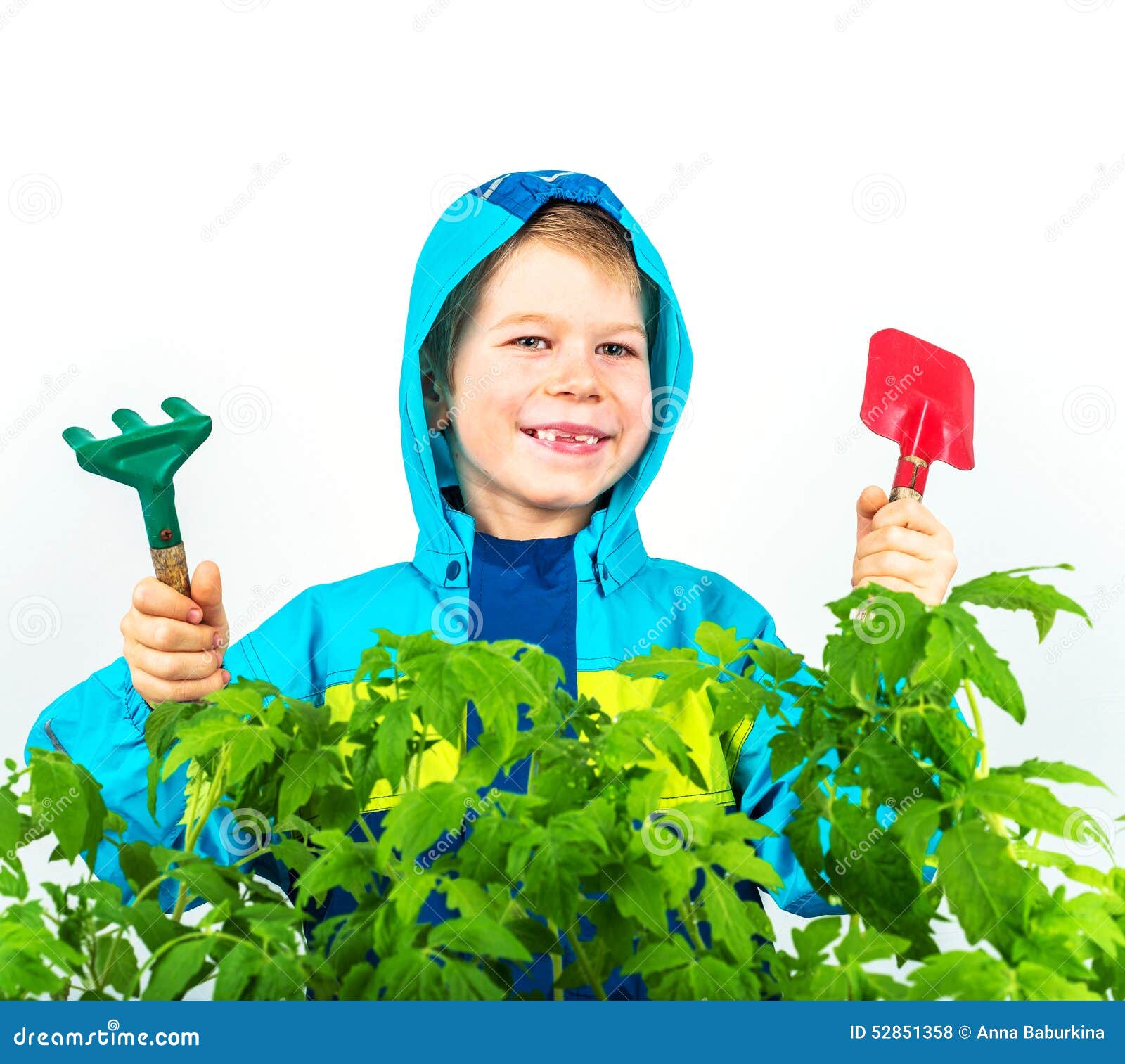 Happy spring gardening boy stock photo. Image of child - 52851358