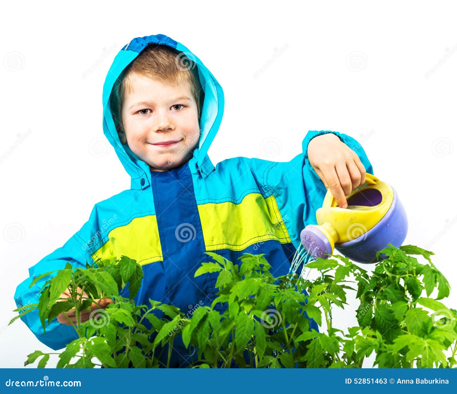Happy spring gardening boy stock image. Image of germination - 52851463