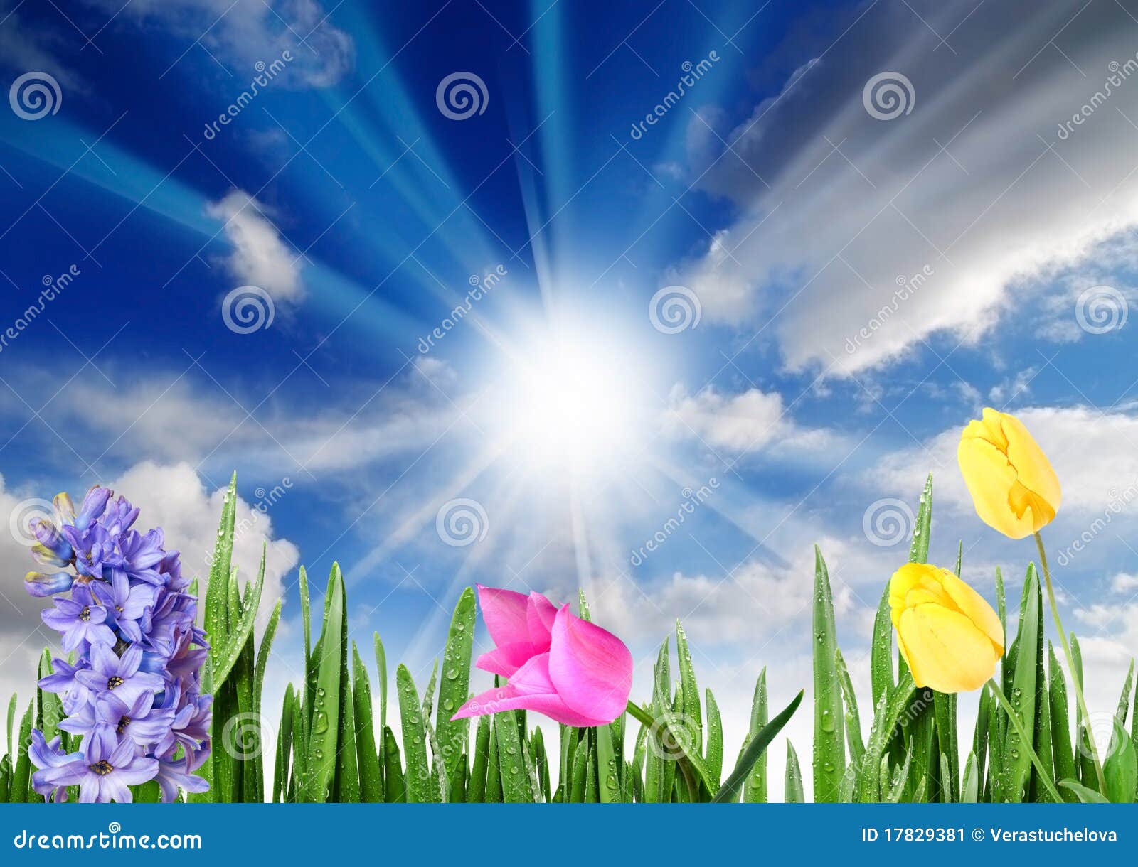 Happy spring morning stock image. Image of blue, clouds - 17829381