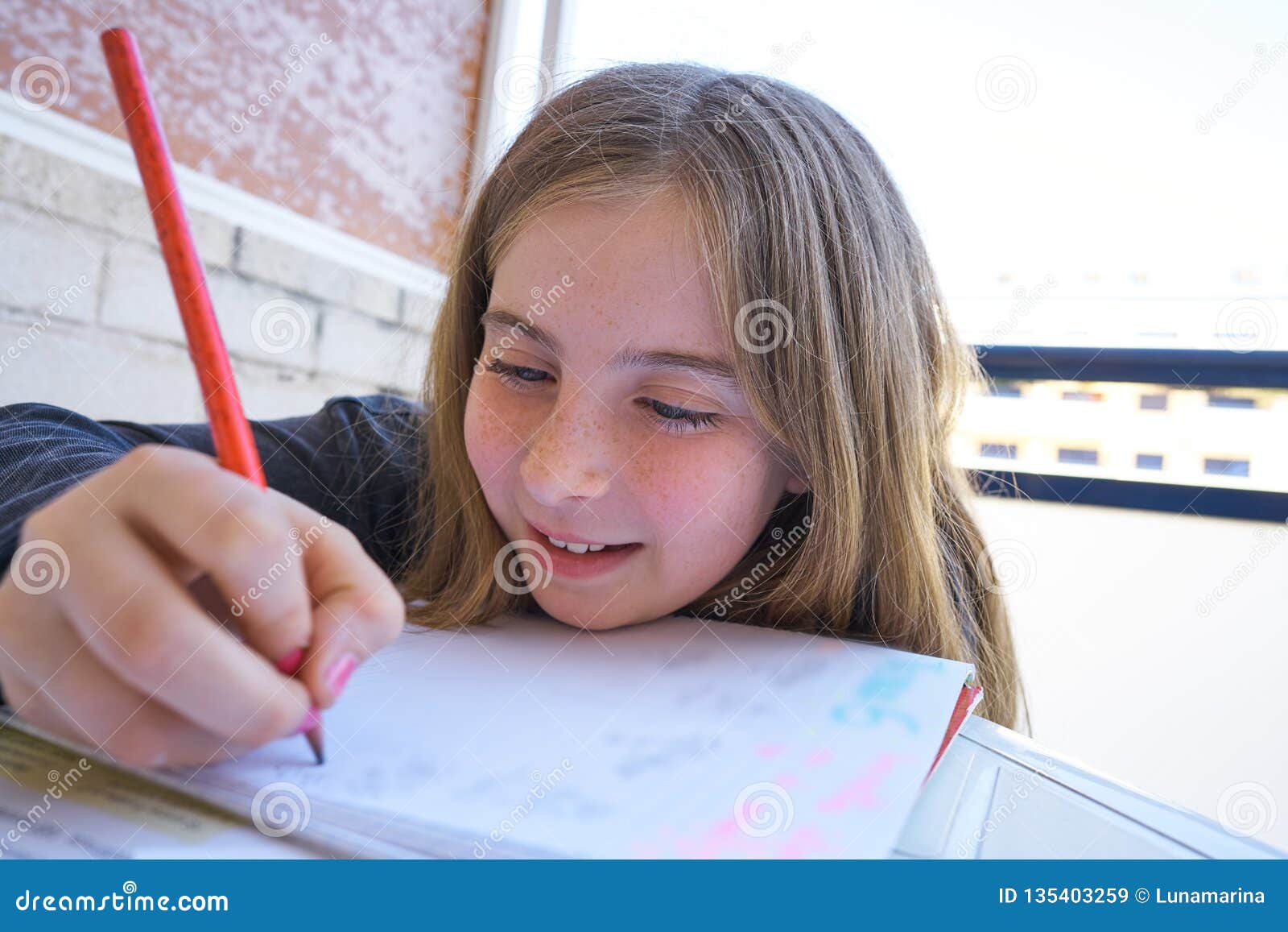 Happy Student Girl Doing Her Homework Stock Image - Image of literature ...