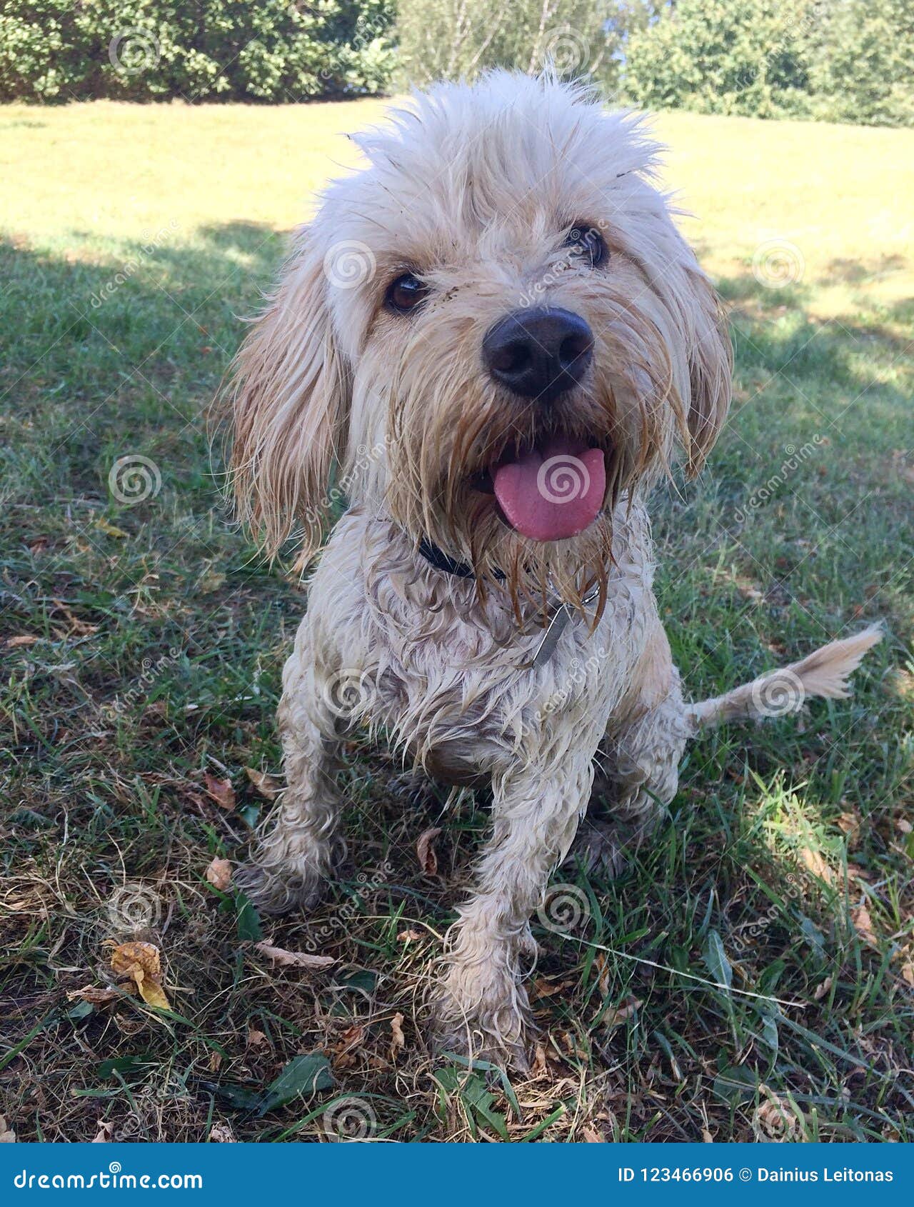 Cutie stock photo. Image of happy, summer, sweety, cutie - 123466906