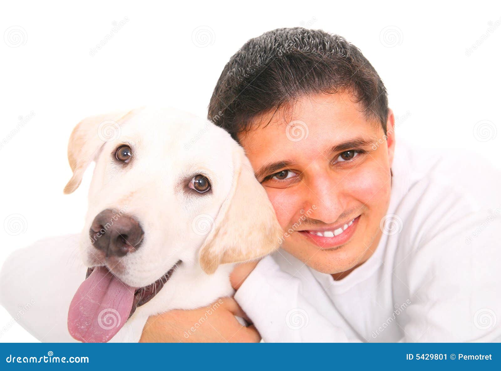 291 Middle Eastern Dog Stock Photos - Free & Royalty-Free Stock Photos ...