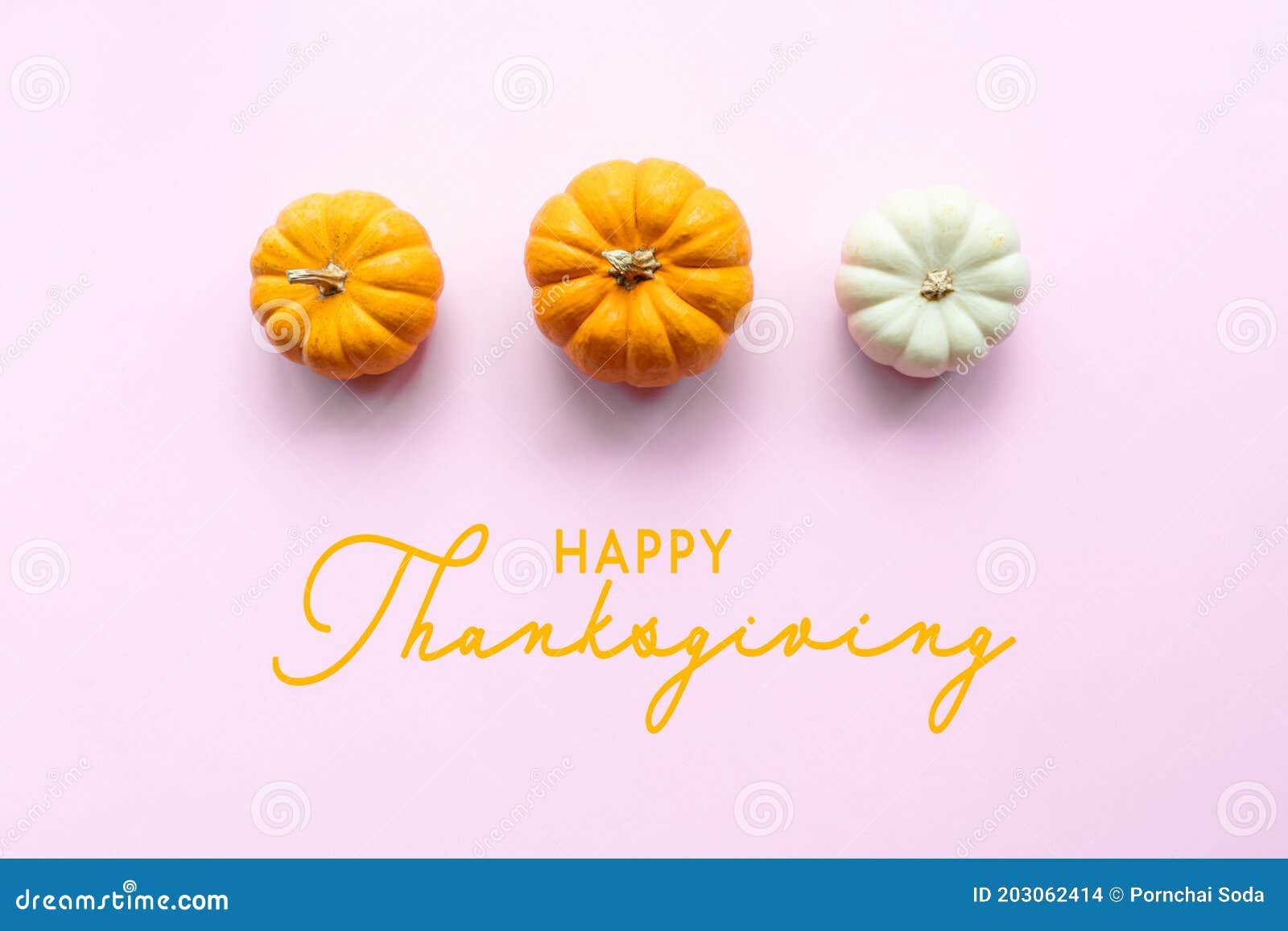 Happy Thanksgiving Day with Pumpkin on Pink Background Stock Photo ...