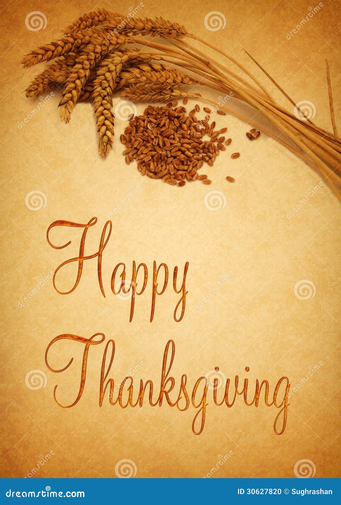 Happy Thanksgiving Wheat stock illustration. Illustration of wishes ...