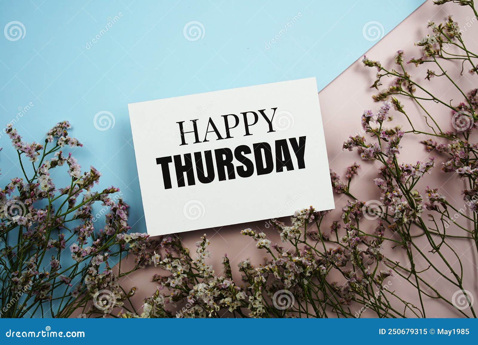 Happy Thursday Text Message with Flower on Blue and Pink Background ...