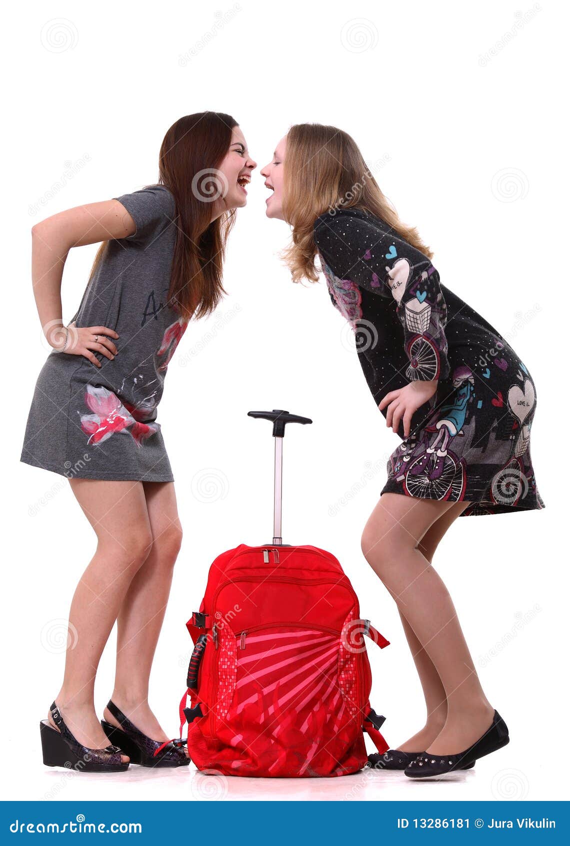 Happy travellers stock image. Image of slender, pretty - 13286181