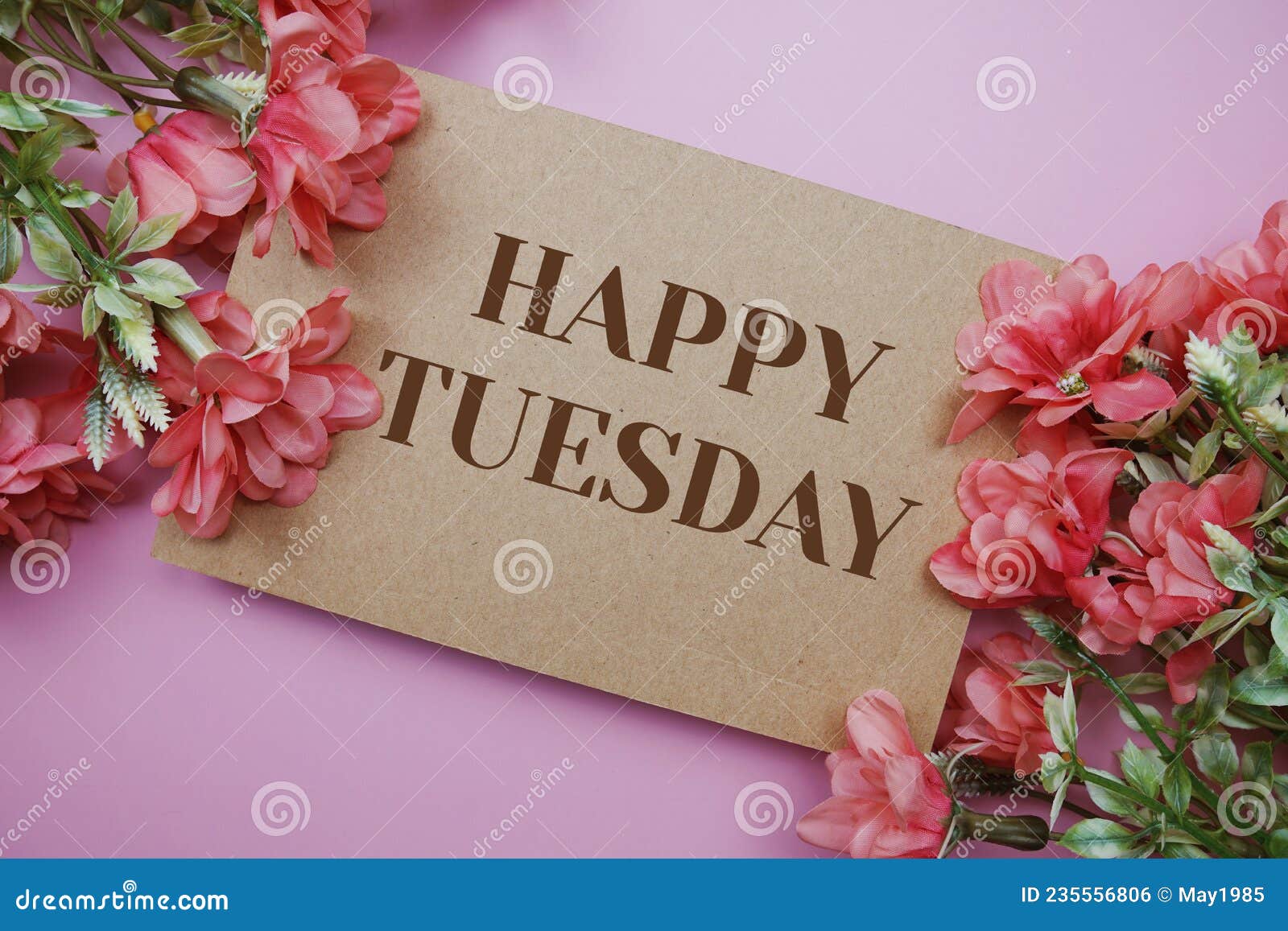 Happy Tuesday Typography Text with Flowers on Pink Background Stock ...