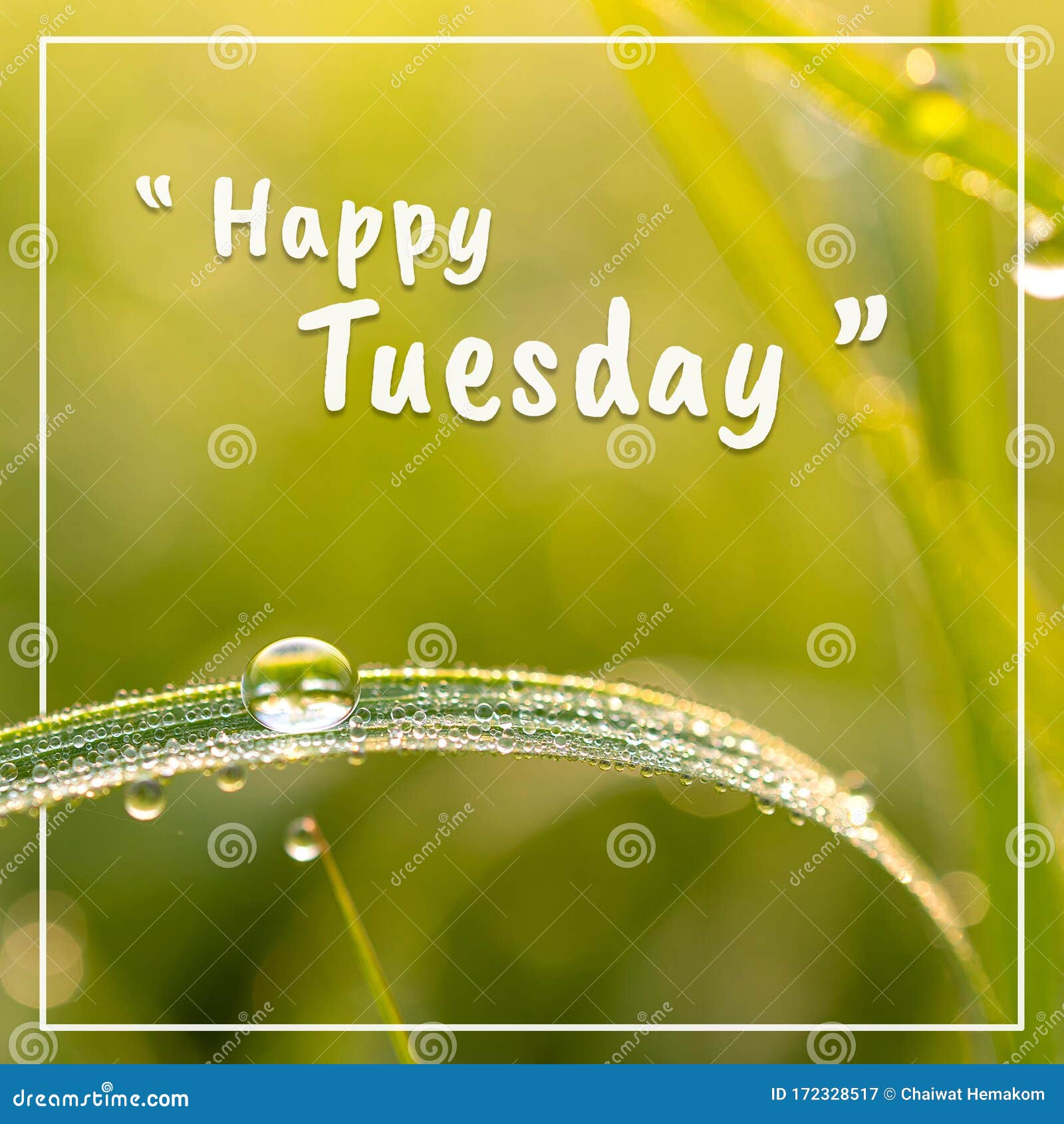 Happy Tuesday Wallpaper