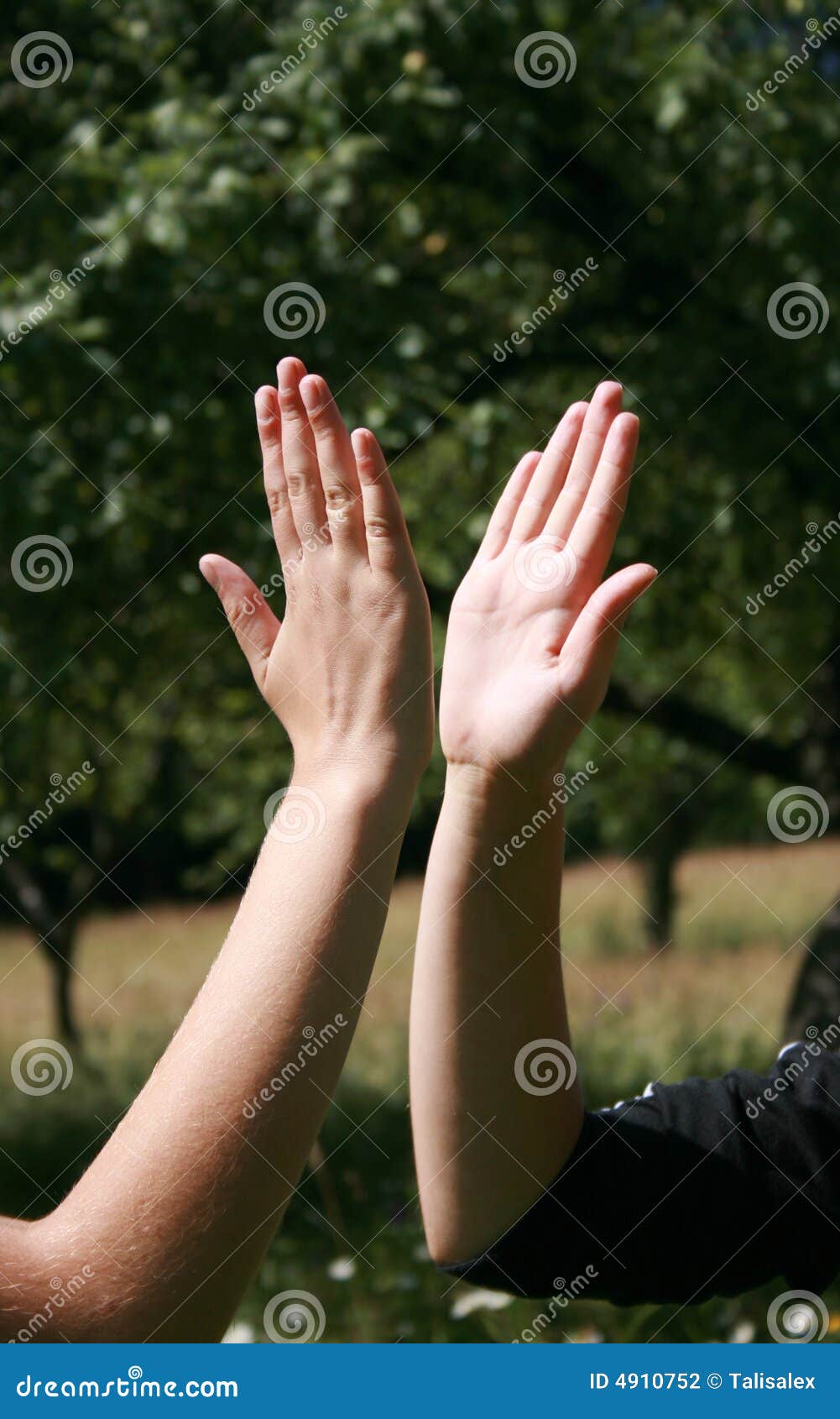 Happy union stock photo. Image of friendship, summer, play - 4910752